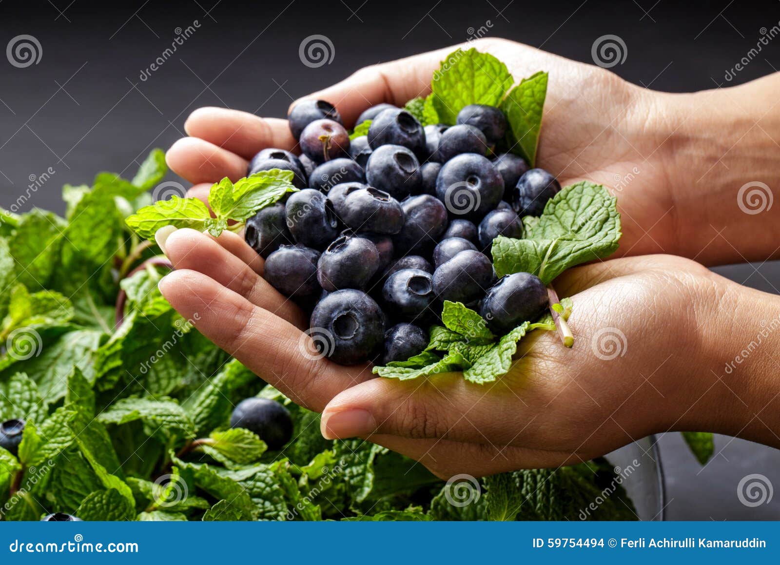 Blueberries in Hands Fresh from Garden Stock Photo - Image of juice ...