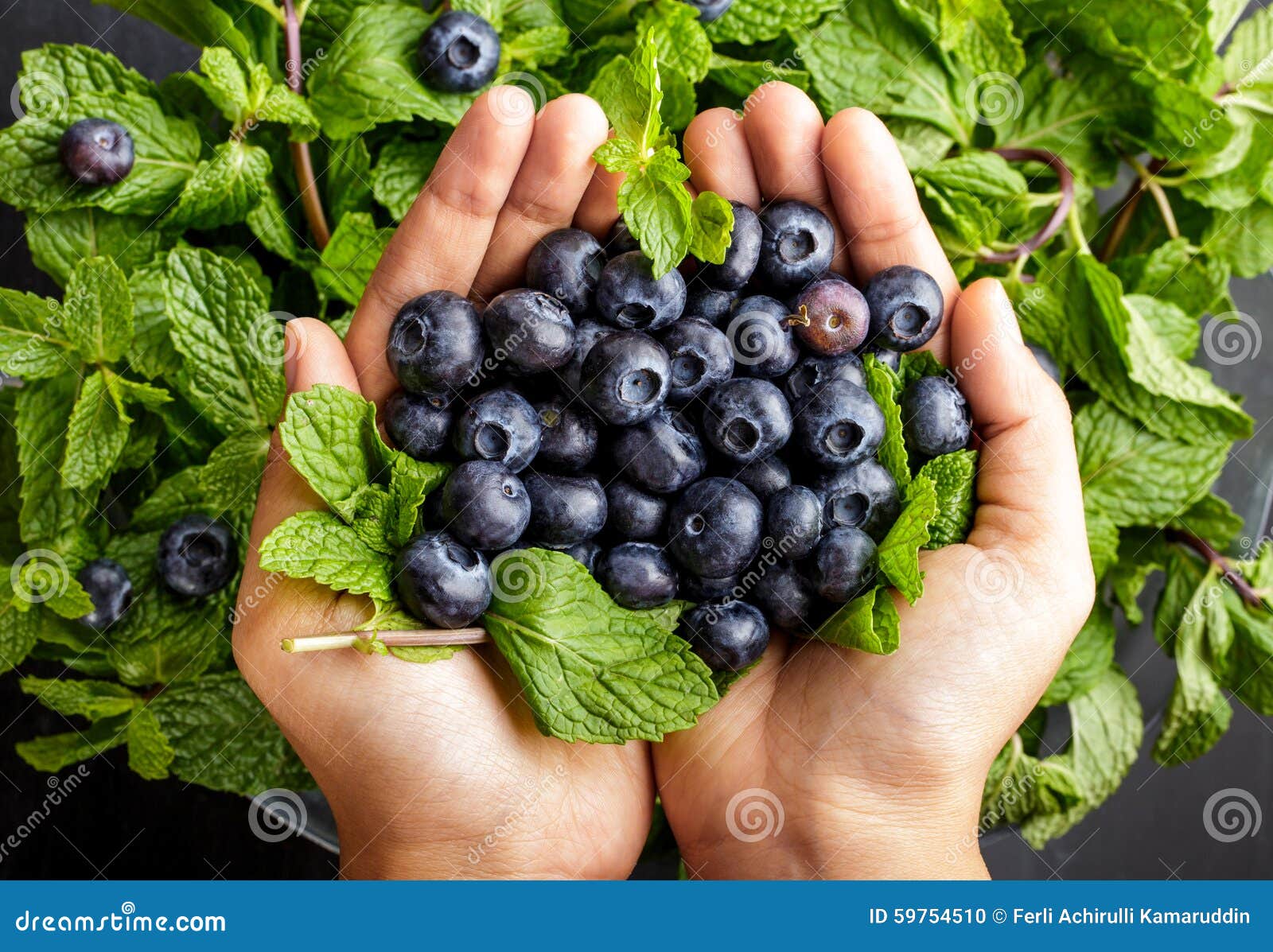 Blueberries in Hands Fresh from Garden Stock Photo - Image of dessert ...