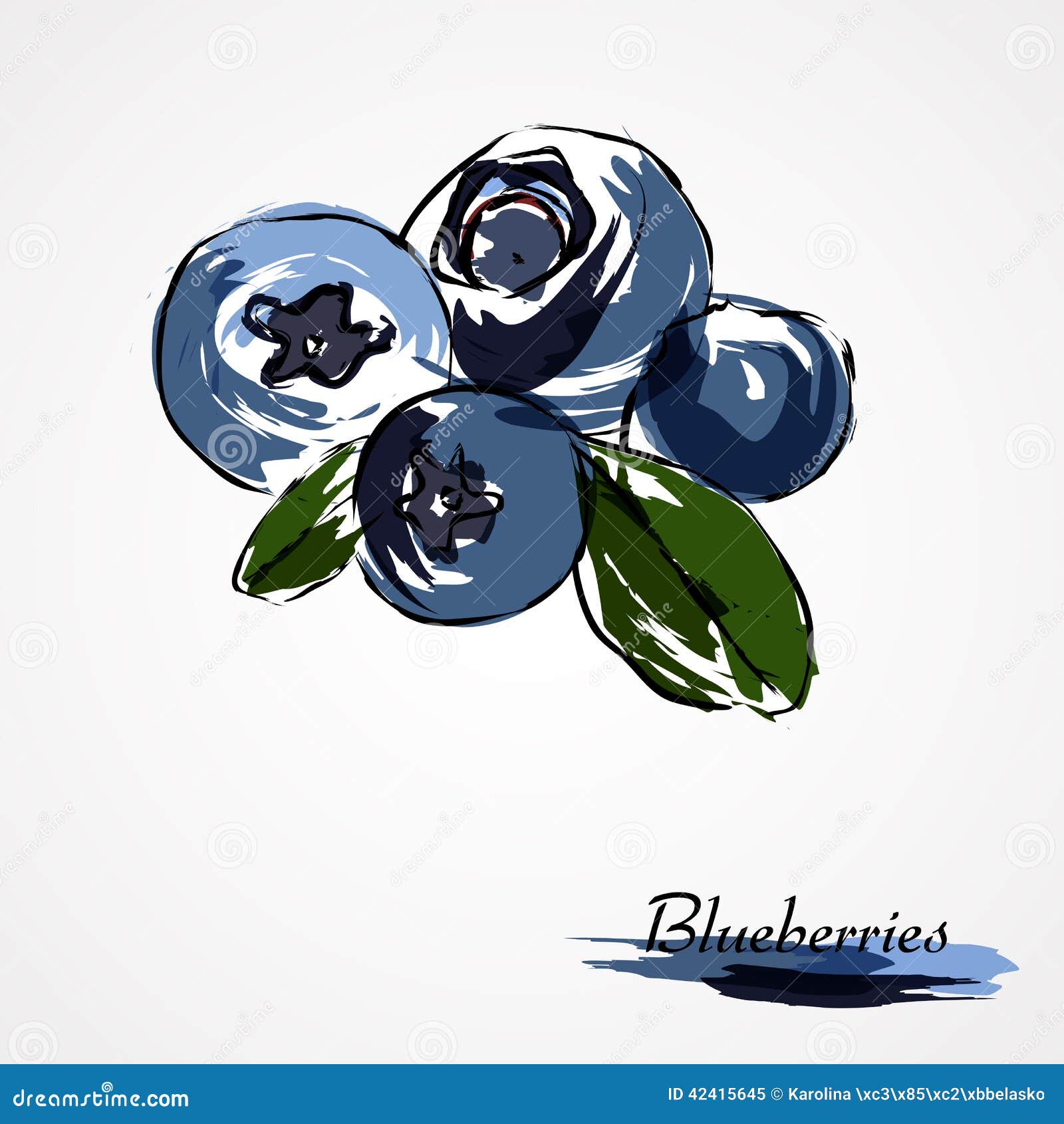 Blueberries, huckleberries stock vector. Illustration of drawing - 42415645