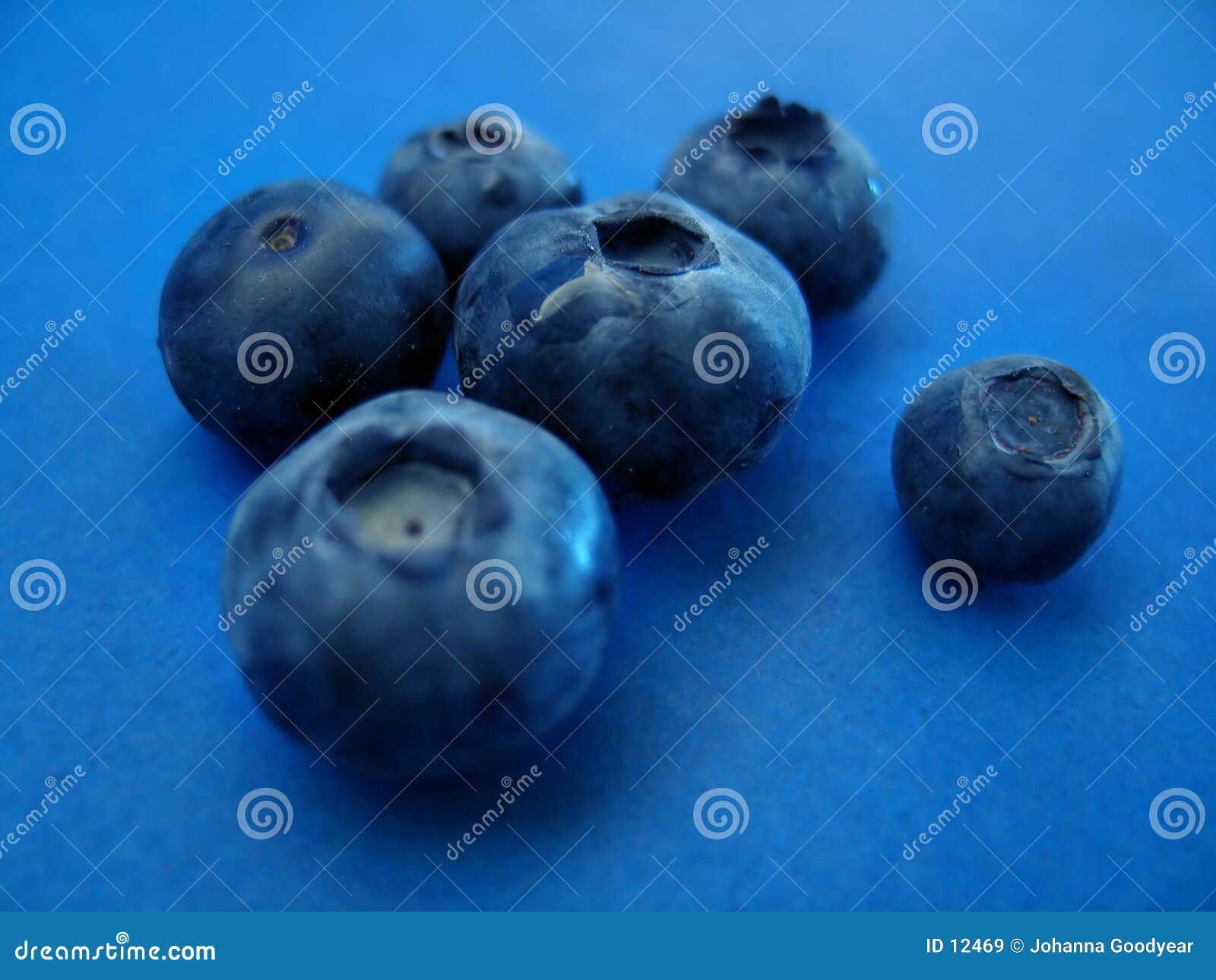 Blueberries II stock image. Image of fruit, fruity, fresh - 12469