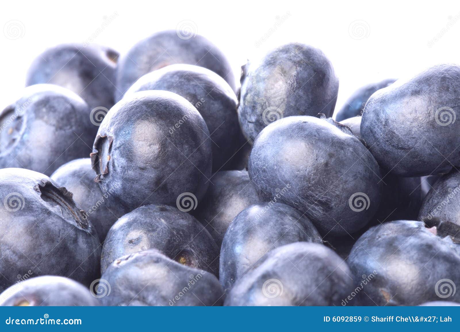 Blueberries Isolated stock image. Image of isolated, tasty - 6092859