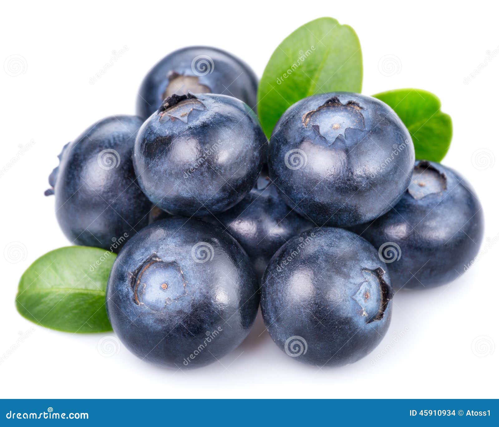 Blueberries isolated stock photo. Image of vegetarian - 45910934