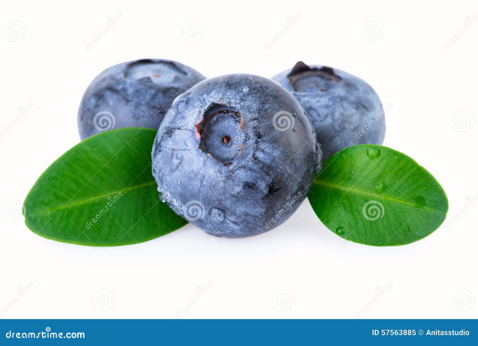 Blueberries isolated stock image. Image of background - 57563885