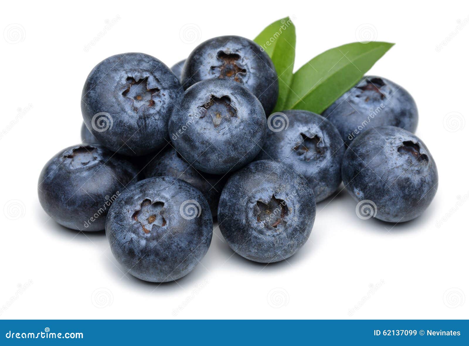 Blueberries stock image. Image of delicious, close, berries - 62137099
