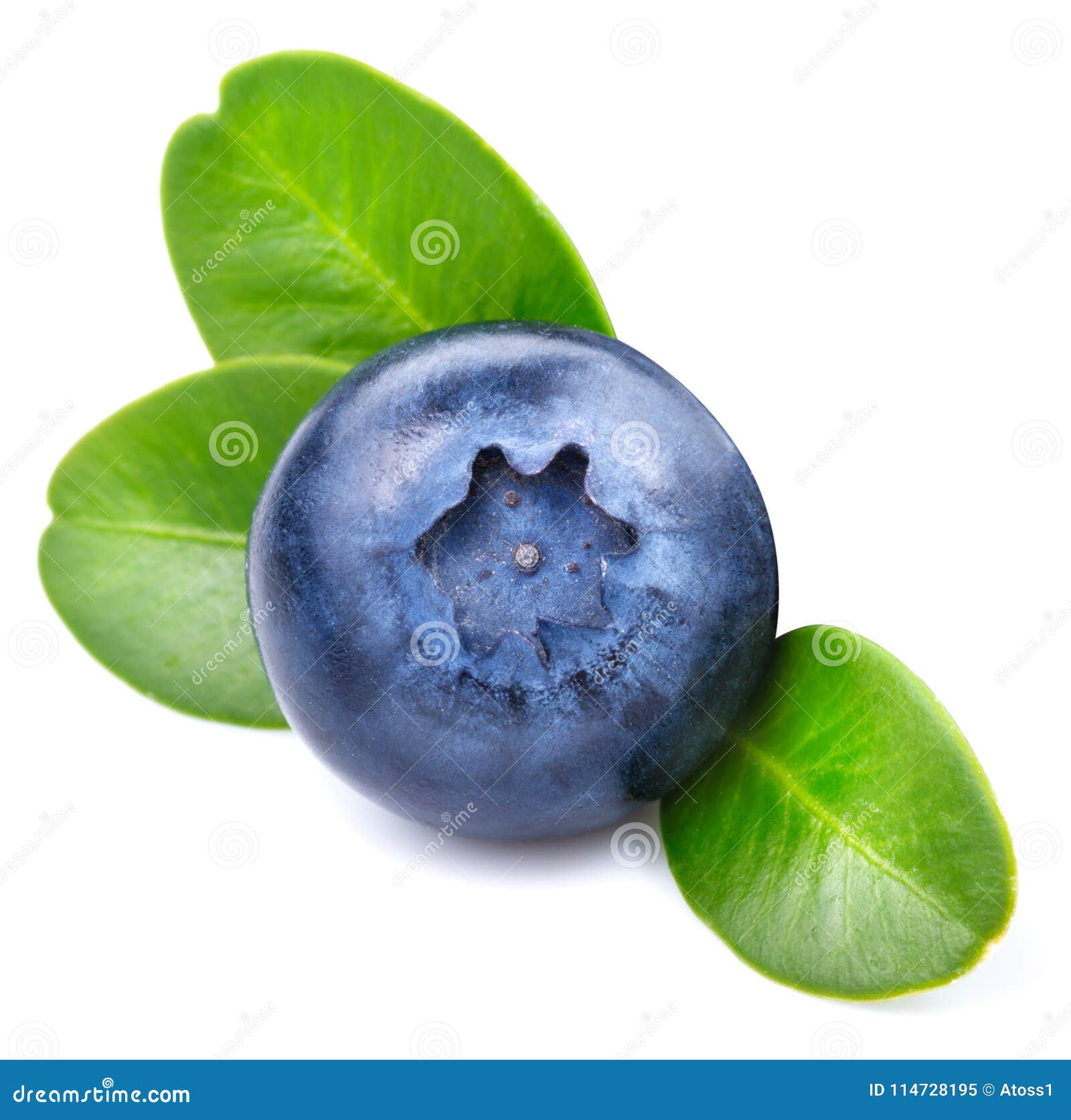 Blueberries Isolated on White Stock Image - Image of healthy, snack ...