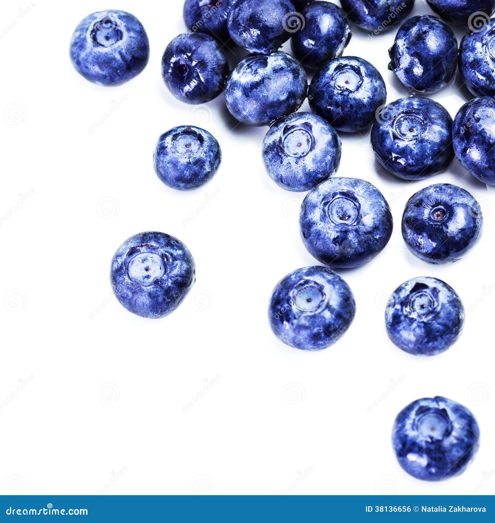 Blueberries Isolated on White Background Close Up. Group of Huge Stock ...
