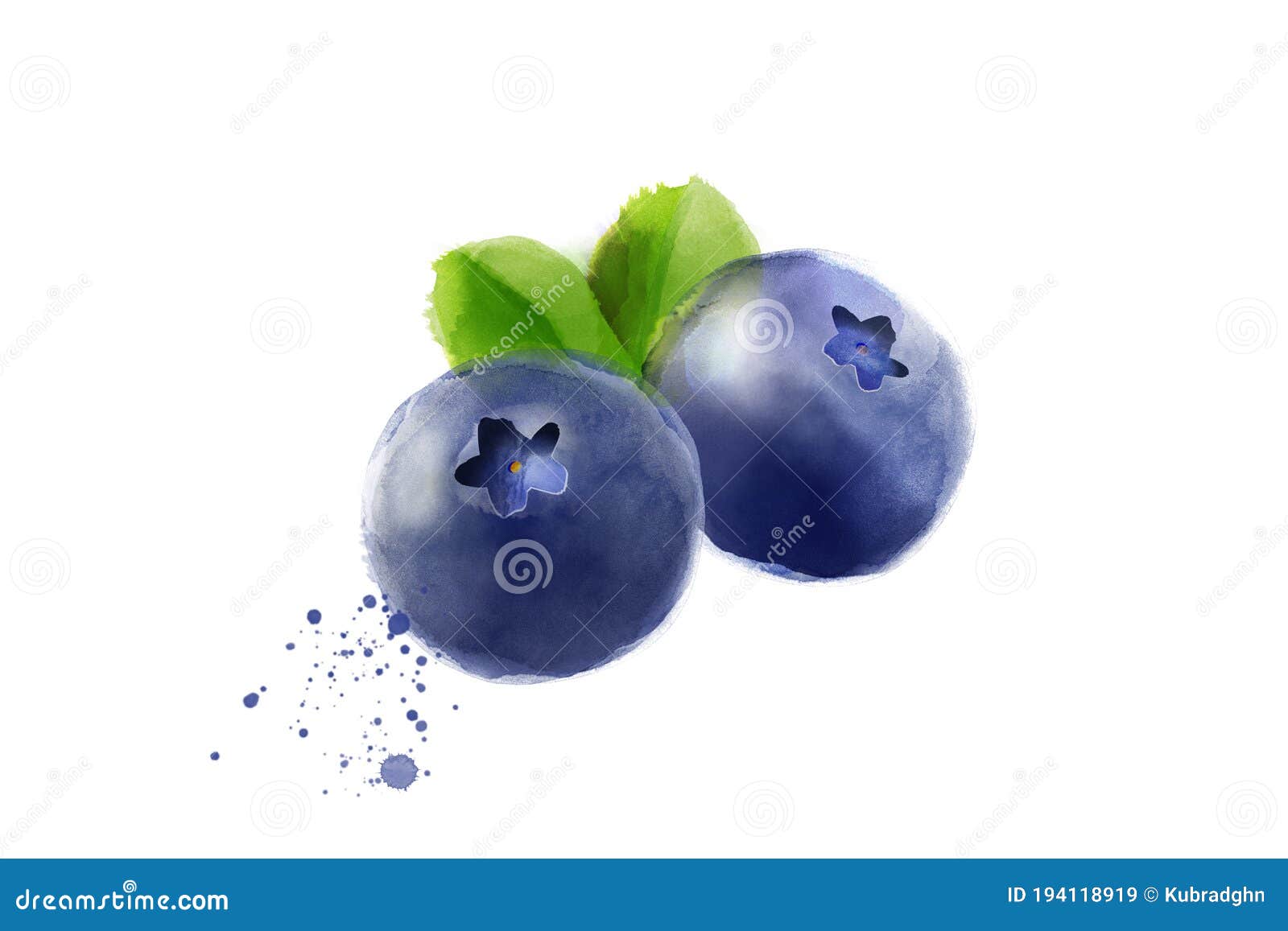 Blueberries Isolated on White Background. Stock Illustration ...