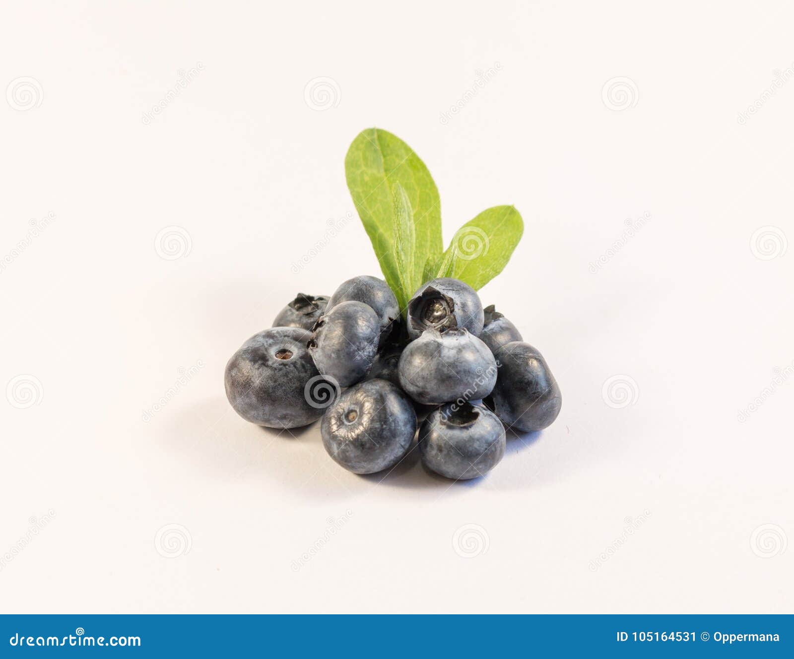 Blueberries Isolated on a White Background Stock Image - Image of ...