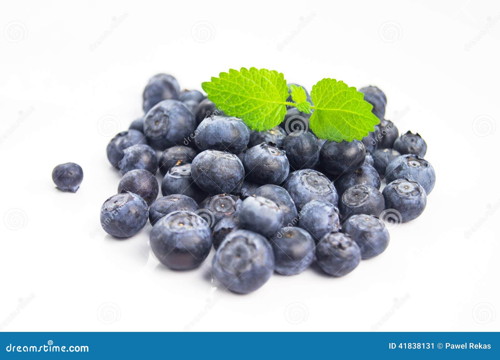 Blueberries Leaf Isolate Background Stock Photos - Download 136 Royalty ...