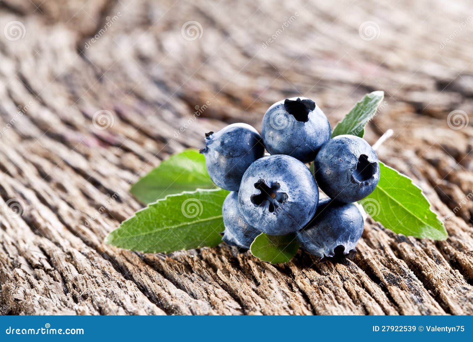 Blueberries with leaves stock image. Image of table, blackberry - 27922539