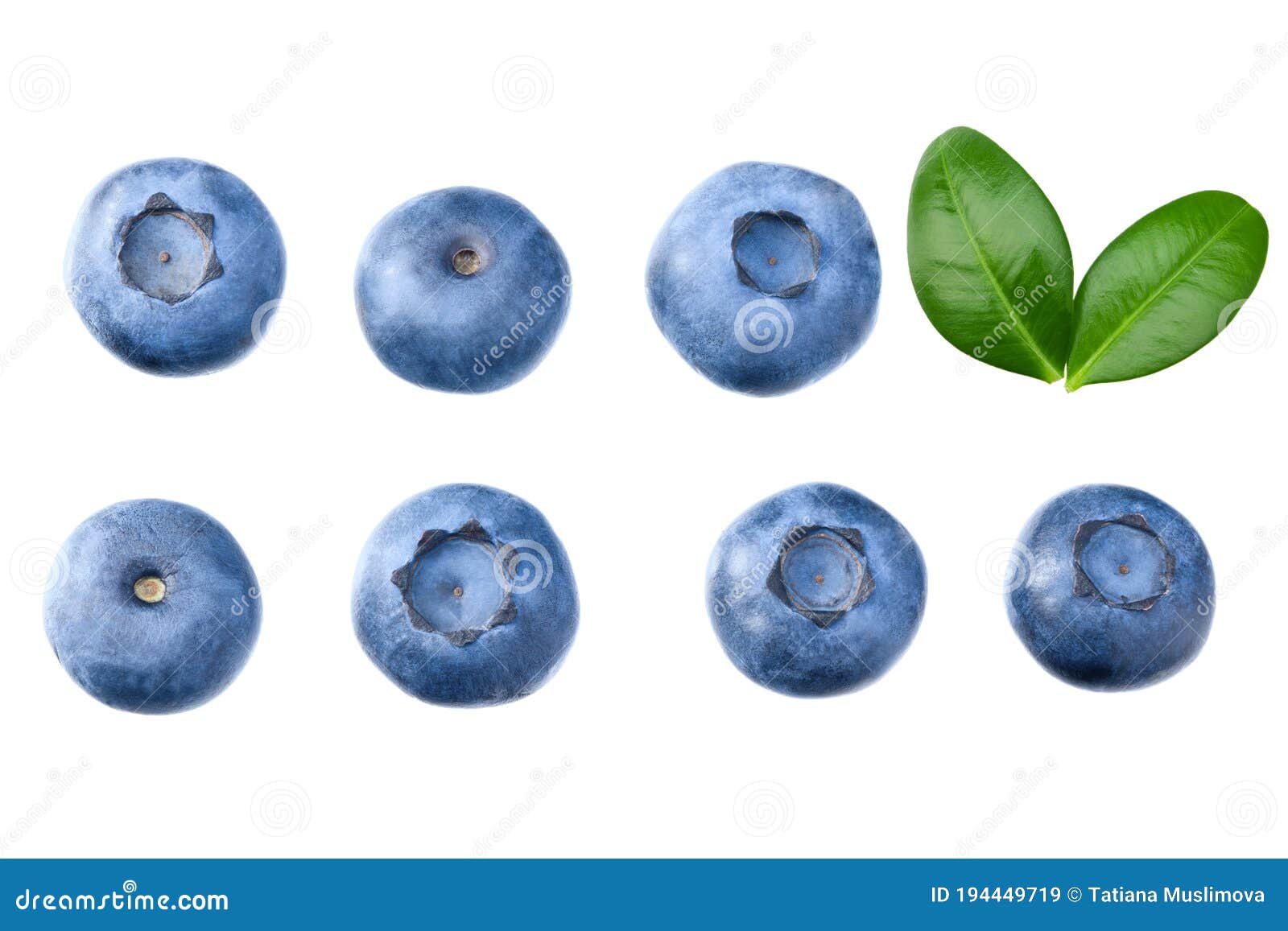 Blueberries with Leaves Isolated on White Background. Top View Stock ...