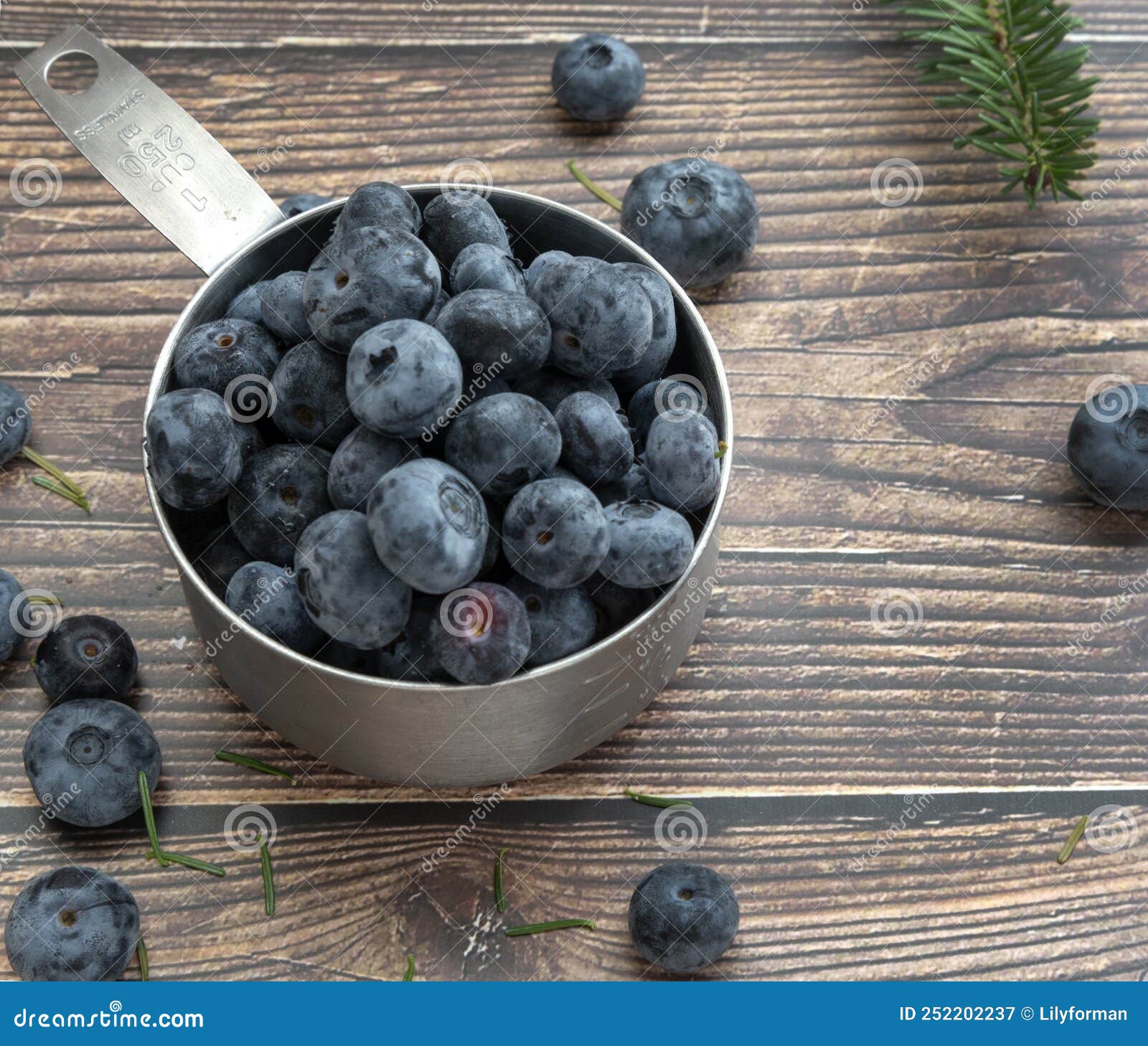 Blueberries in a Measuring Cup Stock Image - Image of blueberry, food ...