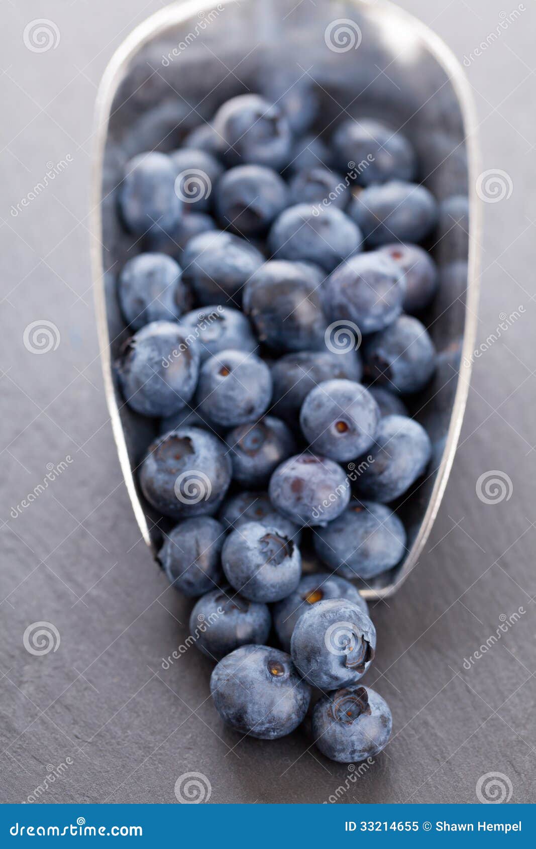 Blueberries in Metallic Scoop Stock Image - Image of freshness, fruit ...