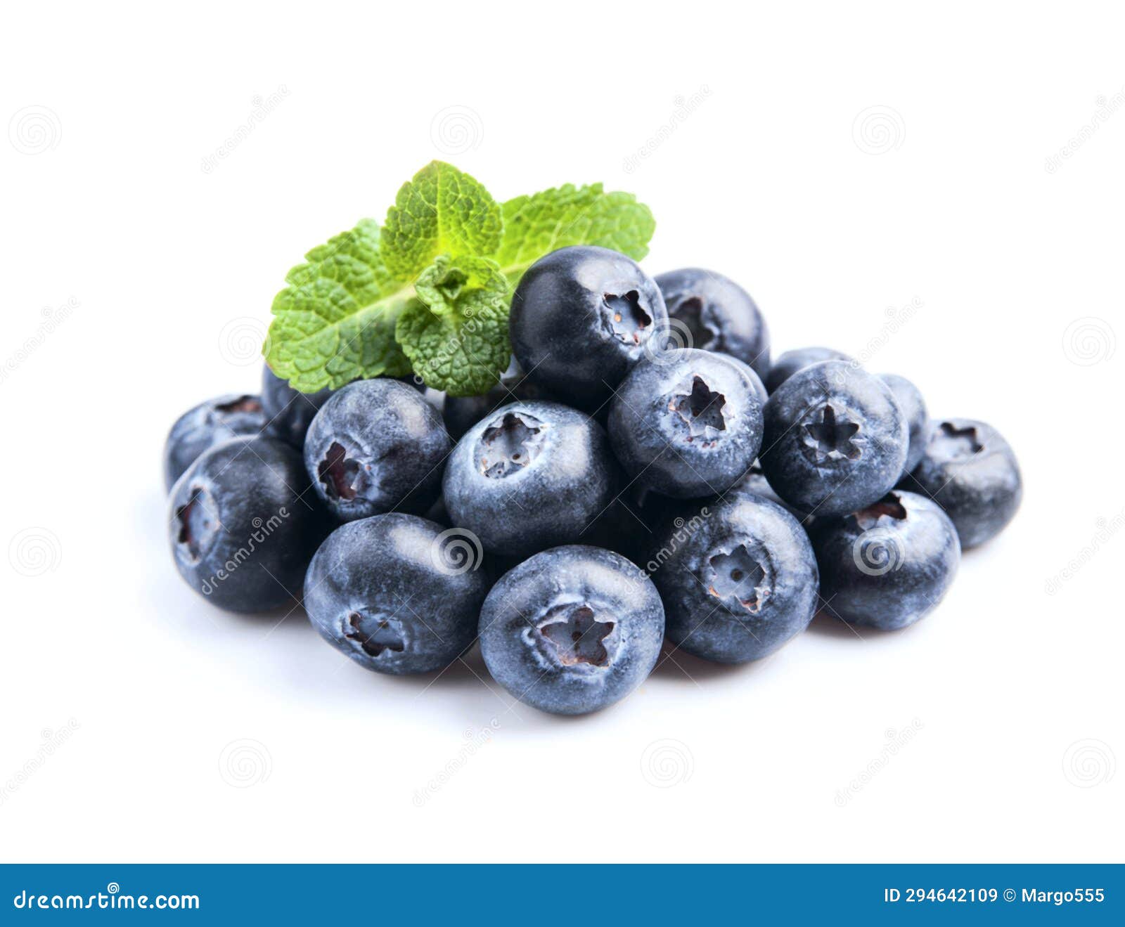 Blueberries with mint stock image. Image of mint, organic - 294642109