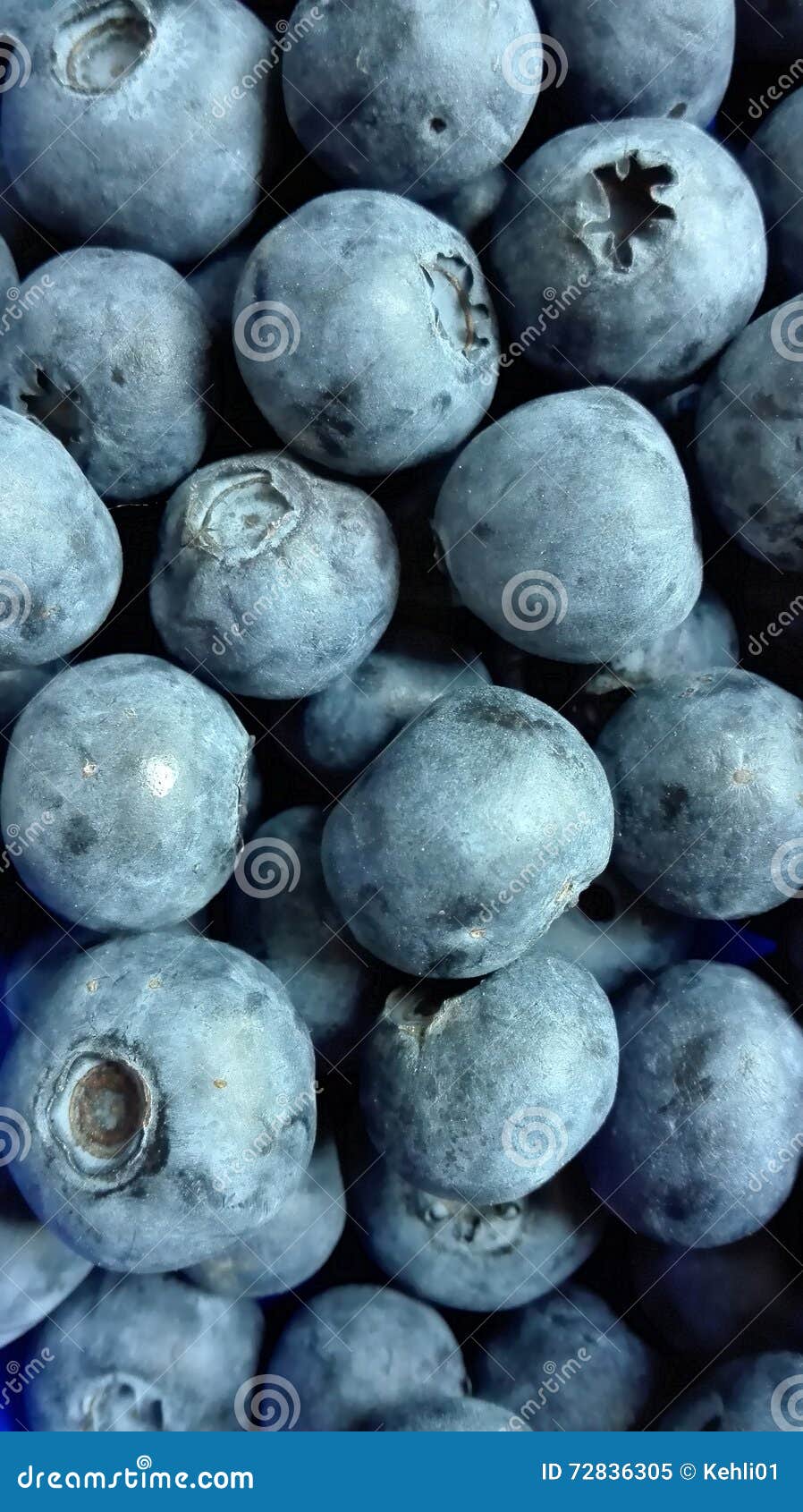Blueberries stock image. Image of moll, plant, fruit - 72836305