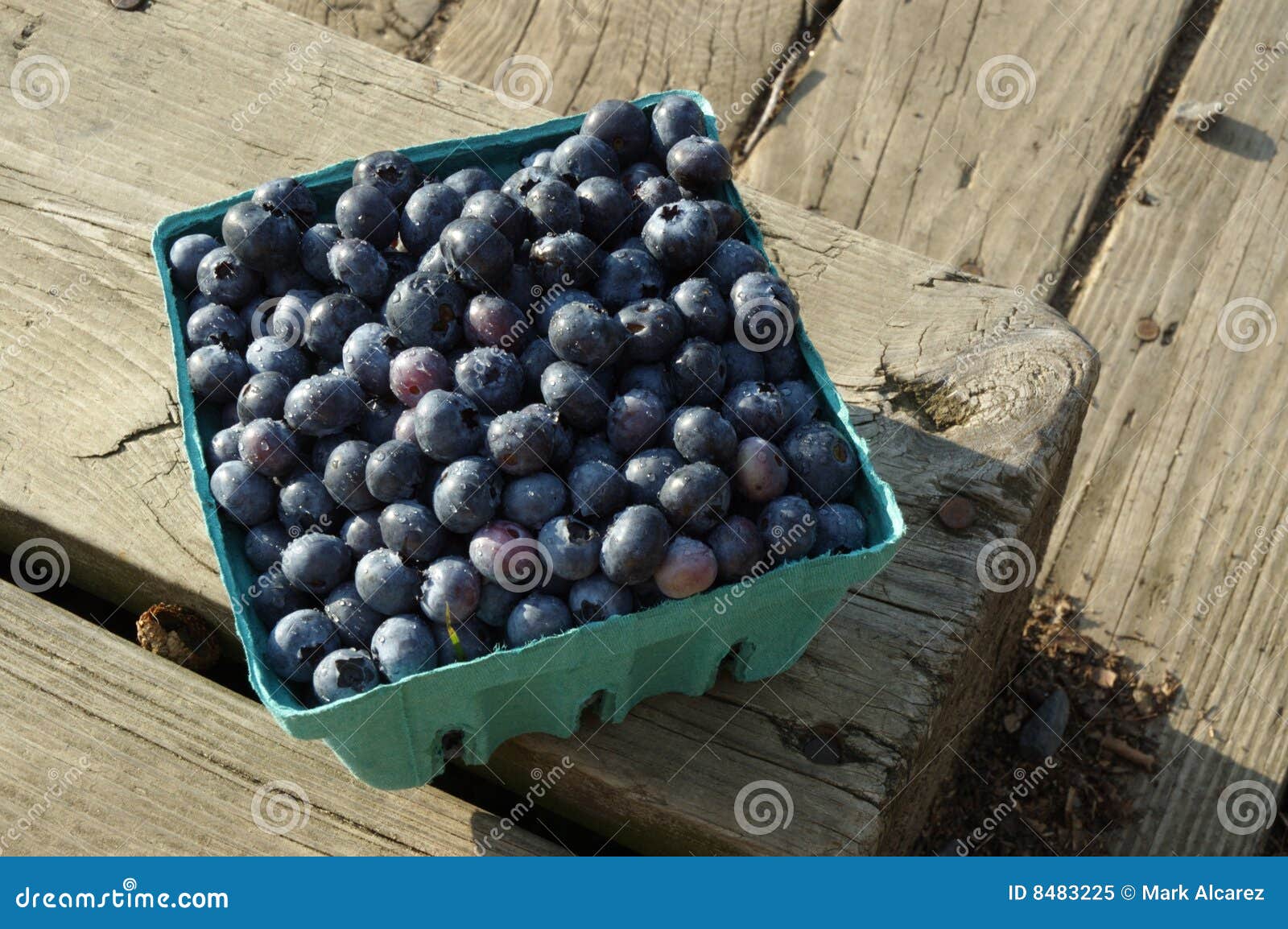 Blueberries In Pint Bucket Picture. Image: 8483225