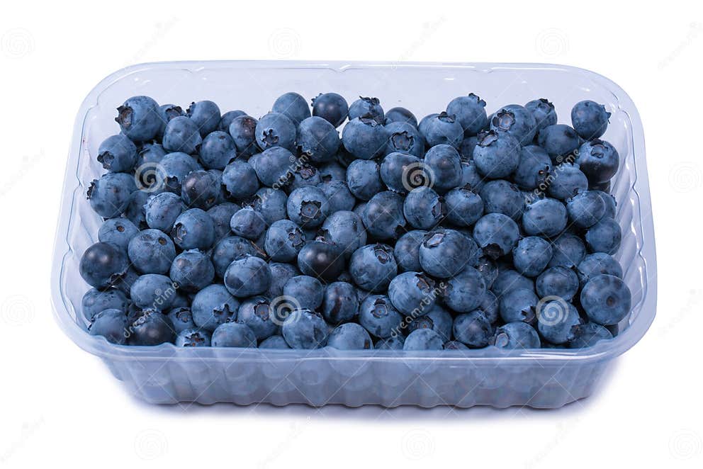 Blueberries in a Plastic Container Isolated on White Background Stock ...