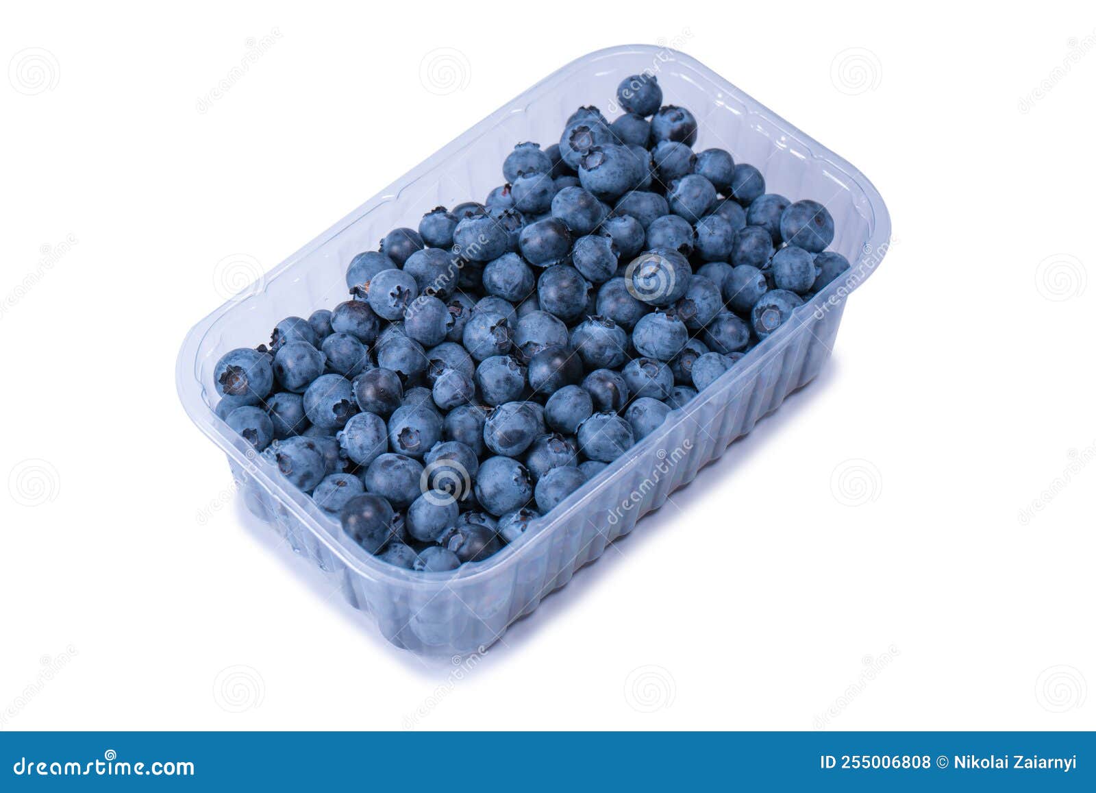 Blueberries in a Plastic Container Isolated on White Background Stock ...