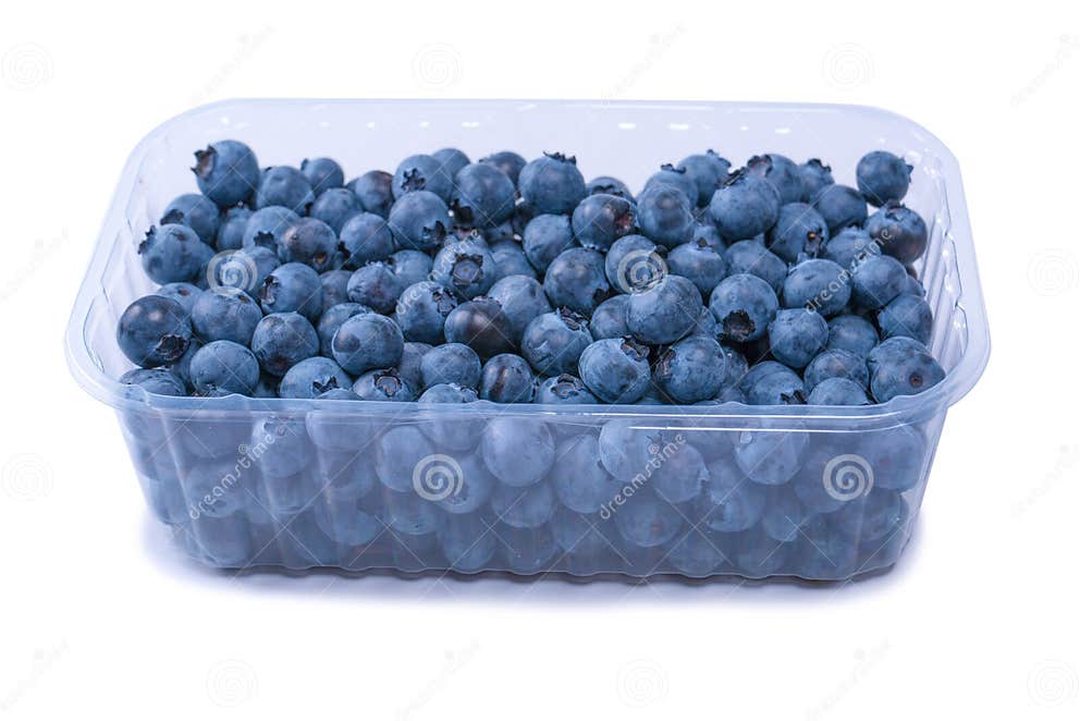 Blueberries in a Plastic Container Isolated on White Background Stock ...