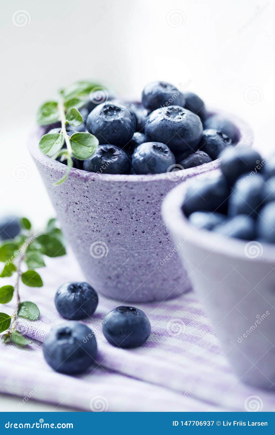 Bowls with Blueberries stock image. Image of dessert - 147706937