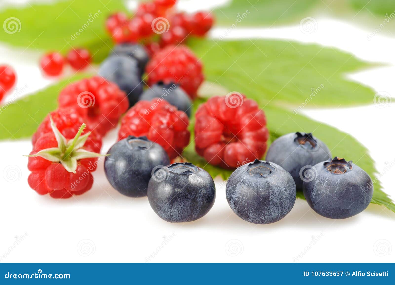 Blueberries and Raspberries Stock Image - Image of european ...