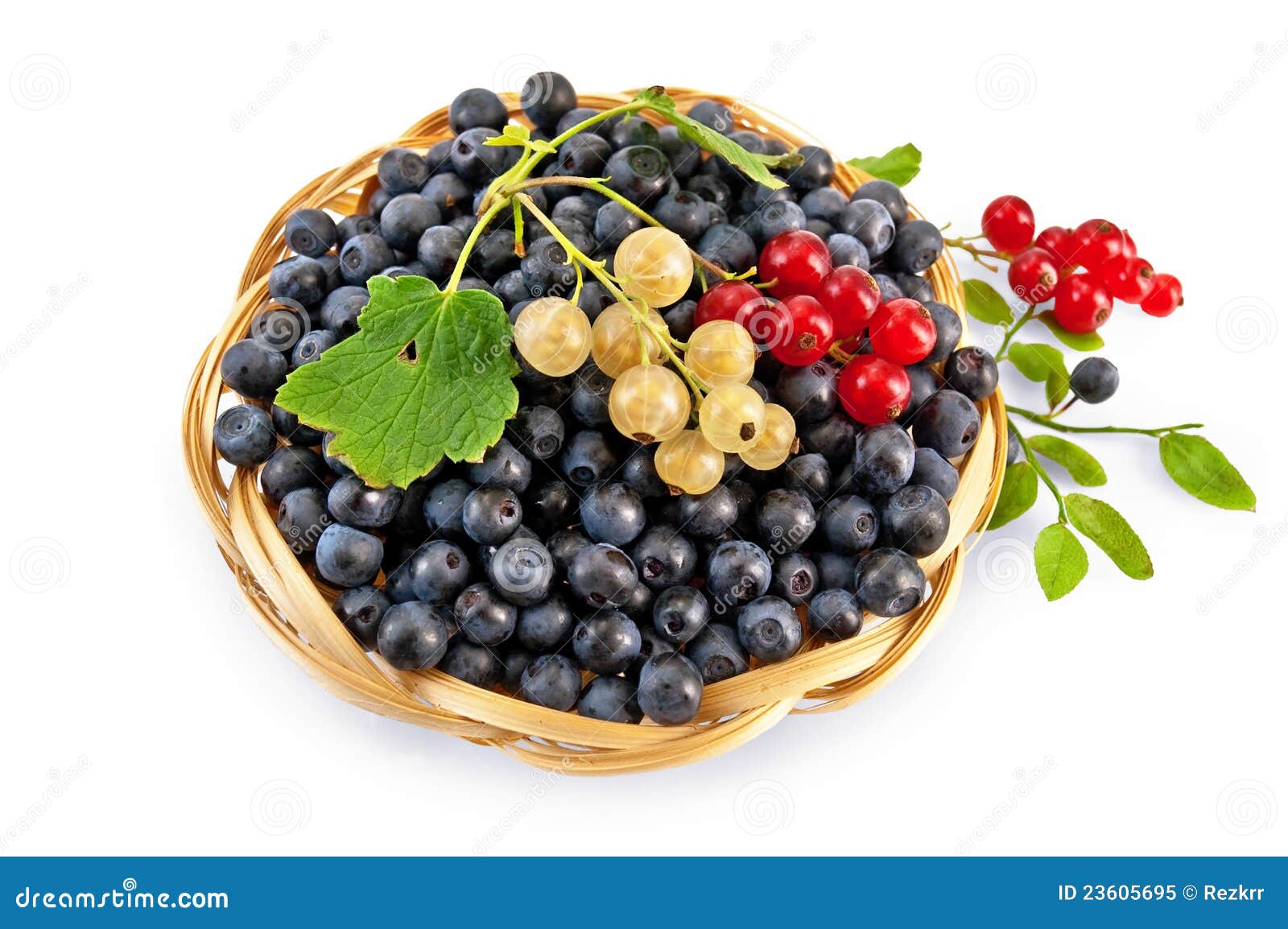 Blueberries with Red and White Currants Stock Image - Image of green ...