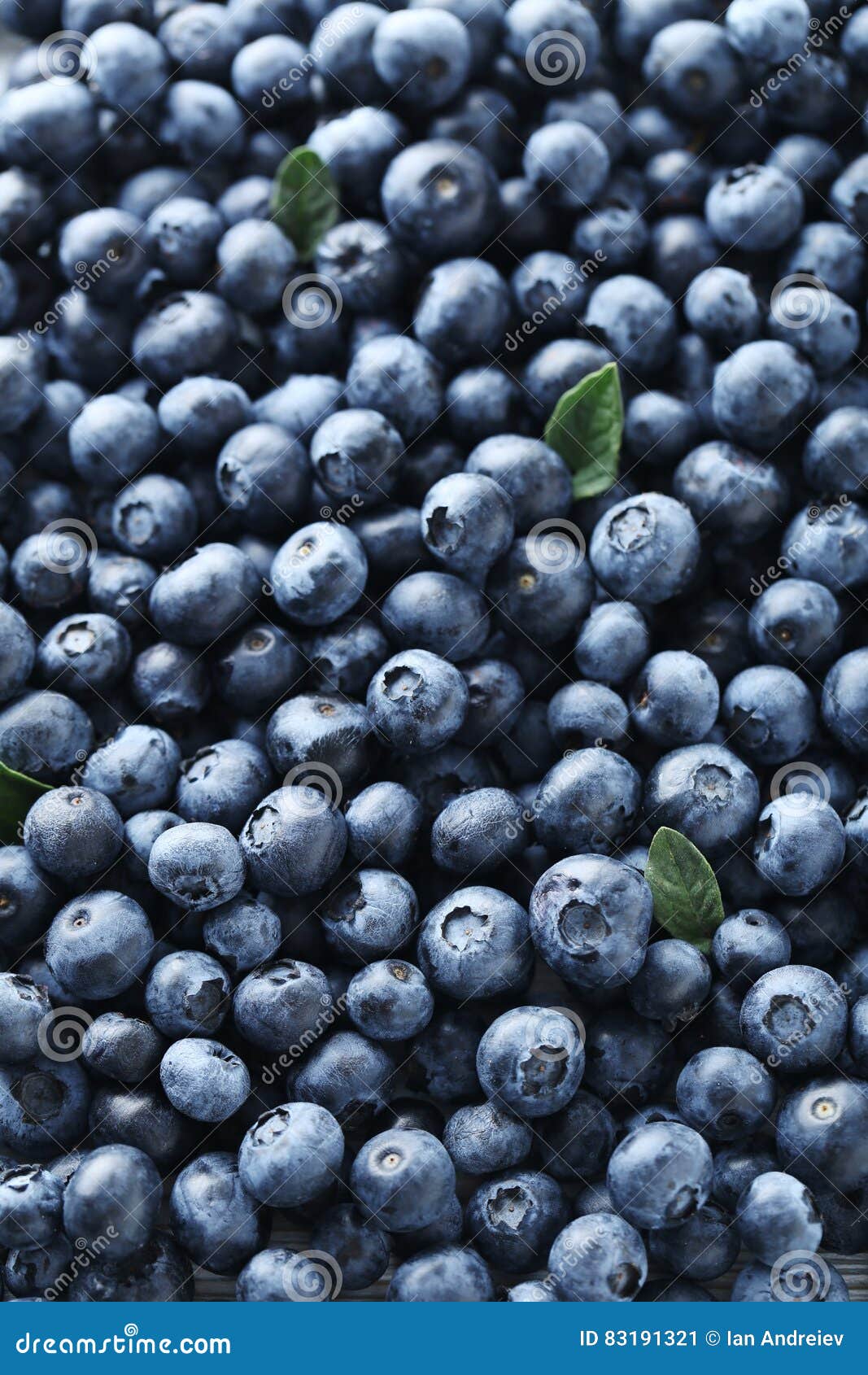 Blueberries stock image. Image of berry, healthy, leaf - 83191321