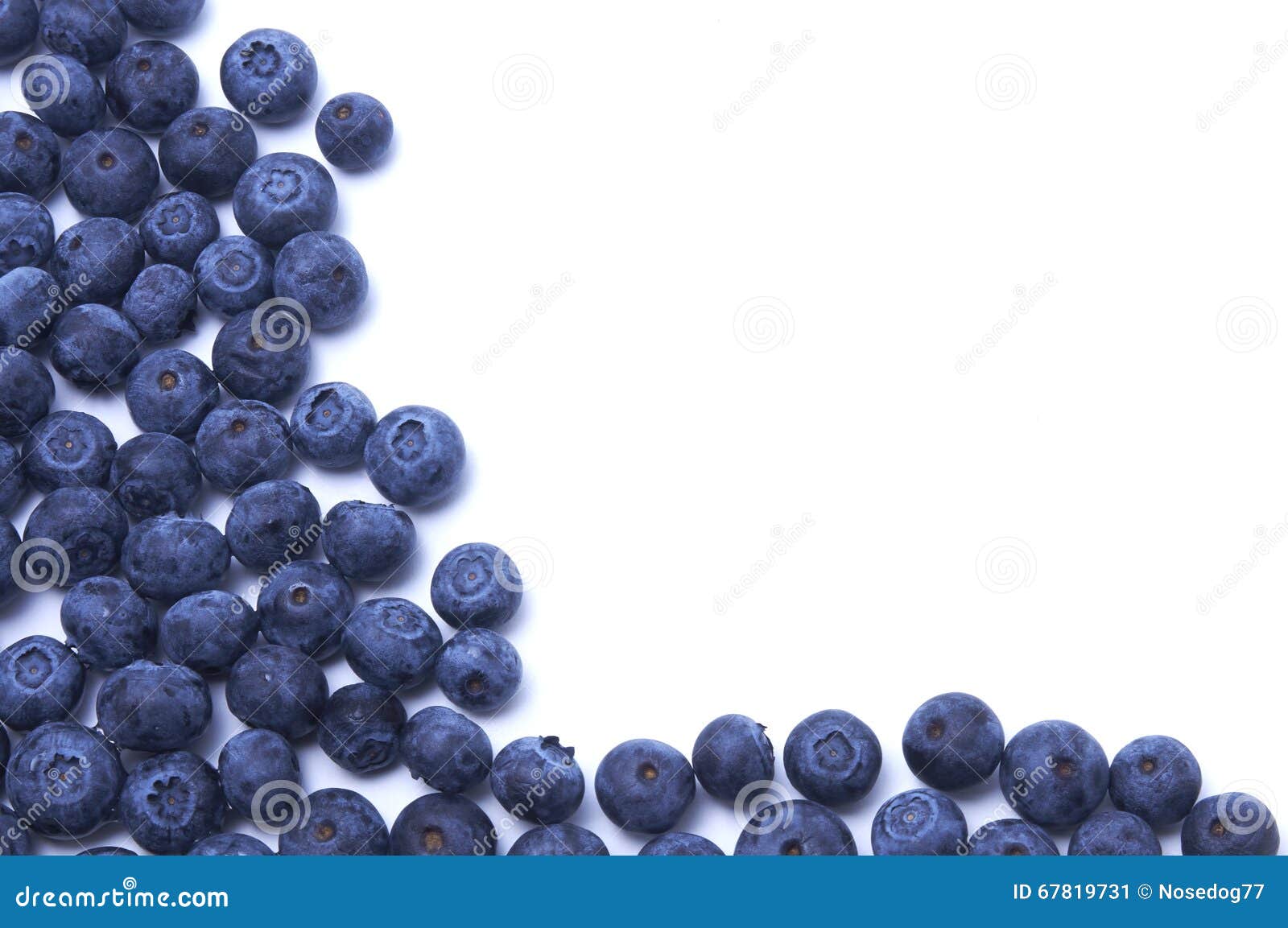Blueberries are Scattered on the White Background Stock Image - Image ...