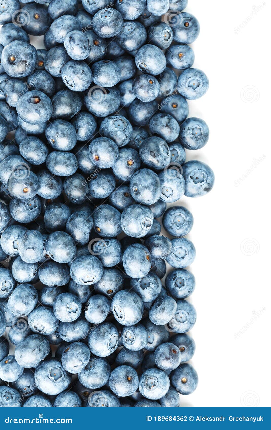 Blueberries are Scattered on a White Background. Free Space, Isolate ...
