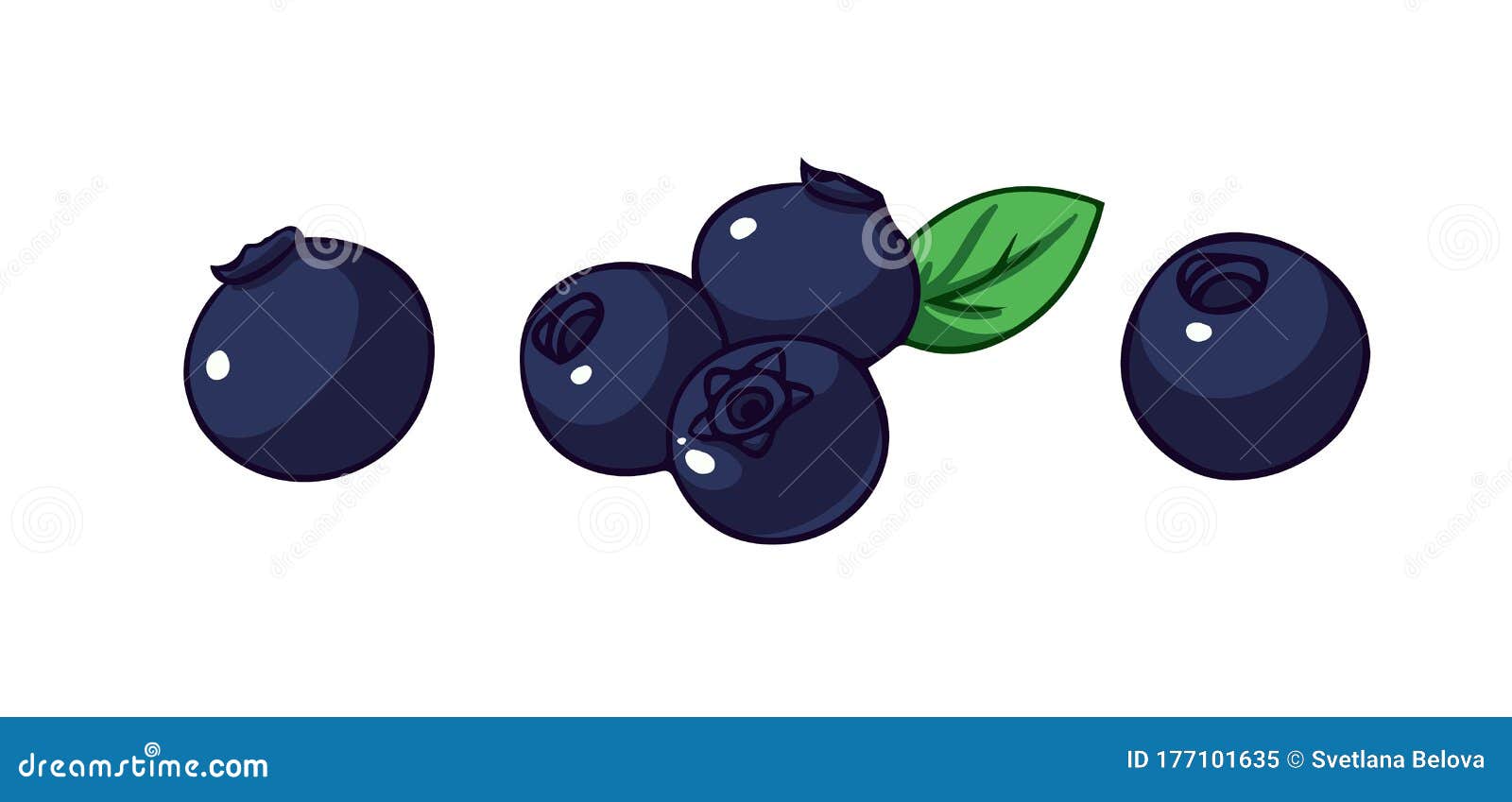 Blueberries Set. Cartoon Vector Icons Isolated on White Stock Vector ...