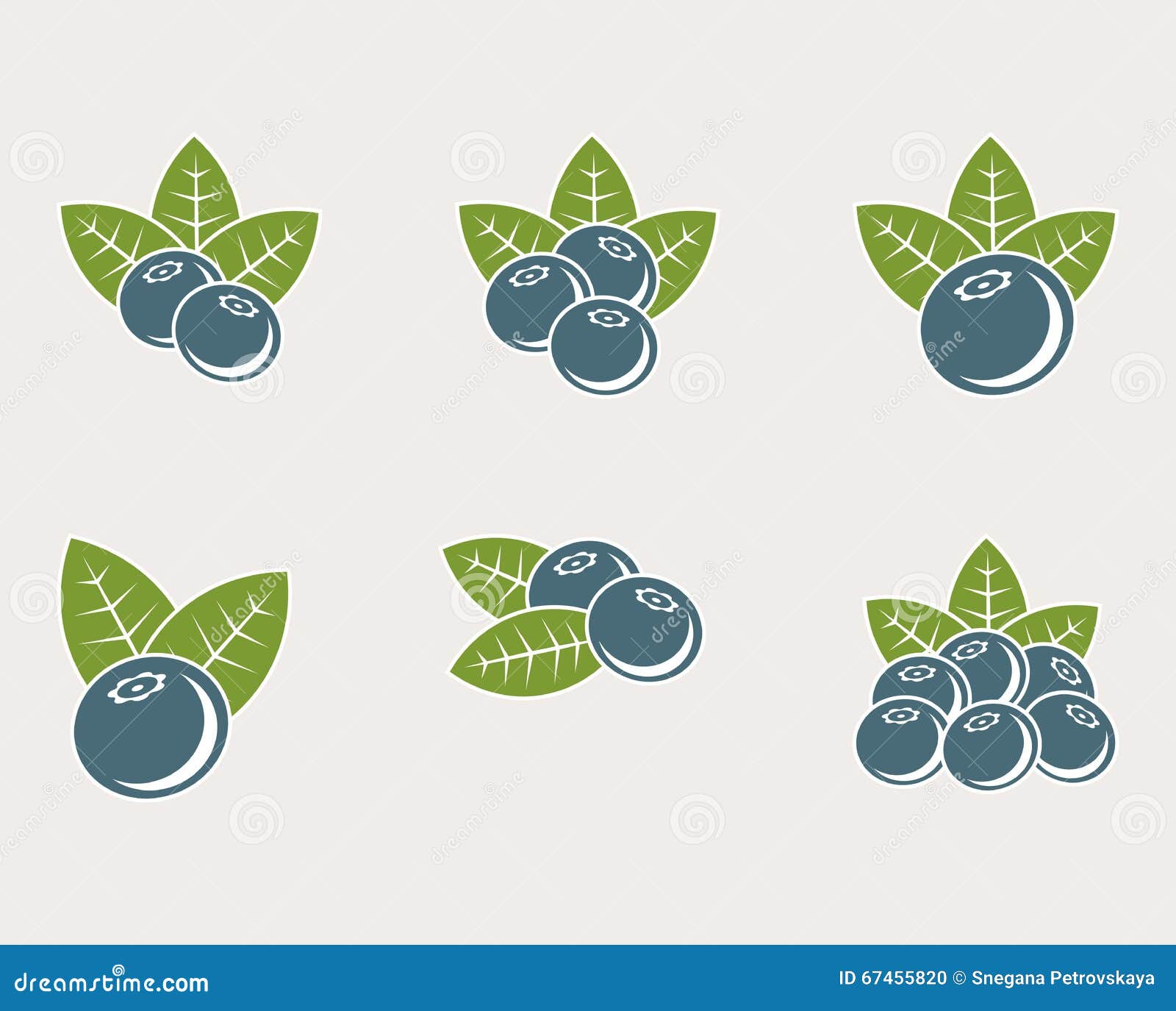 Blueberries set. Vector stock vector. Illustration of closeup - 67455820