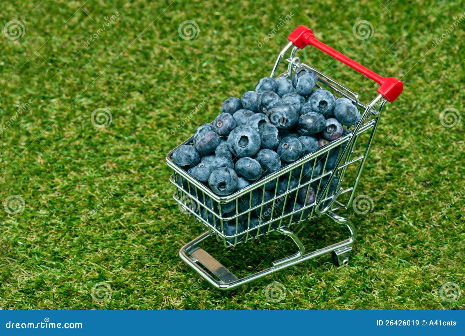 Blueberries in a Shopping Cart Stock Image - Image of vibrant, material ...