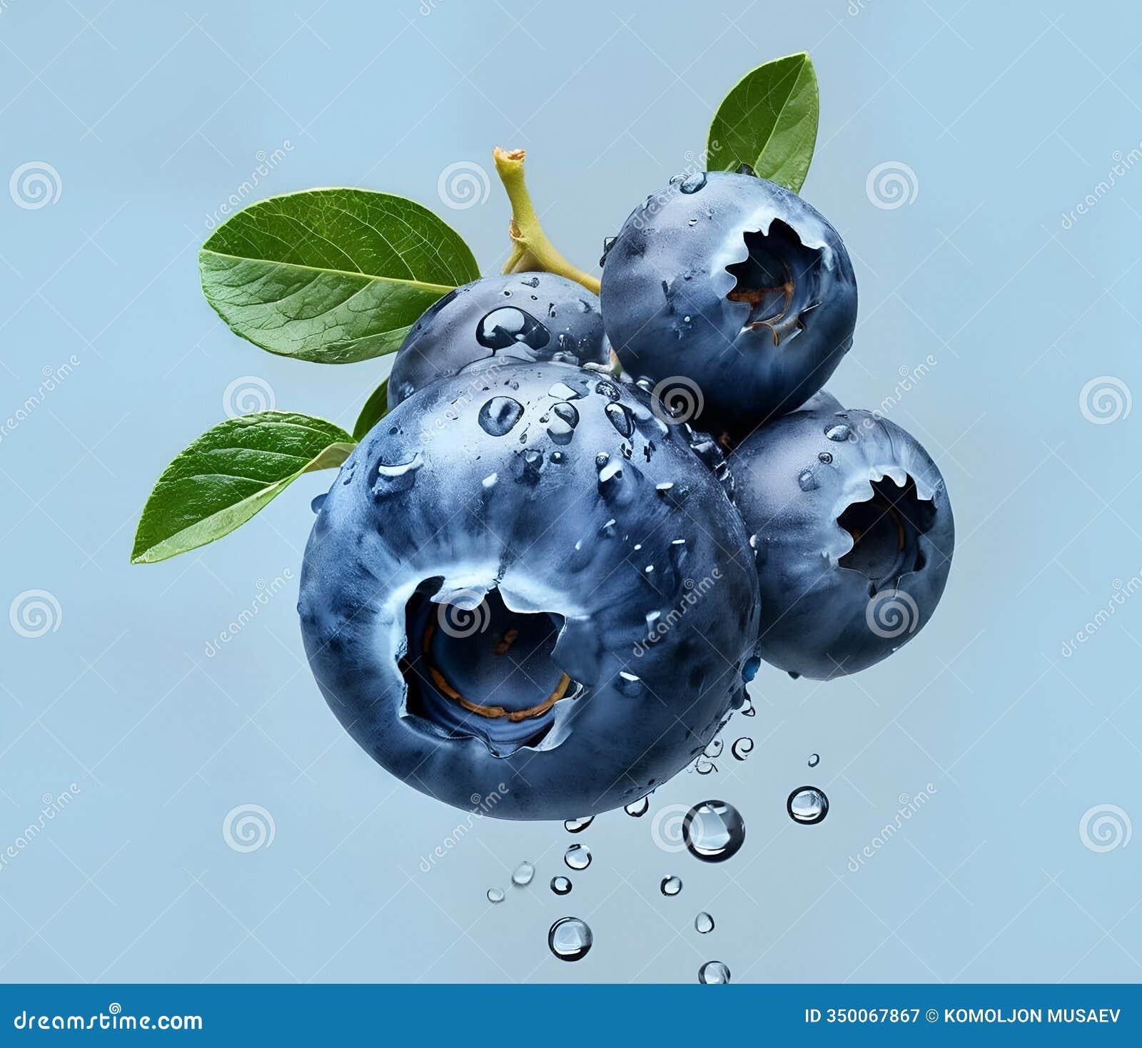 Blueberries and a Slice Isolated on White Background. a Mockup for ...