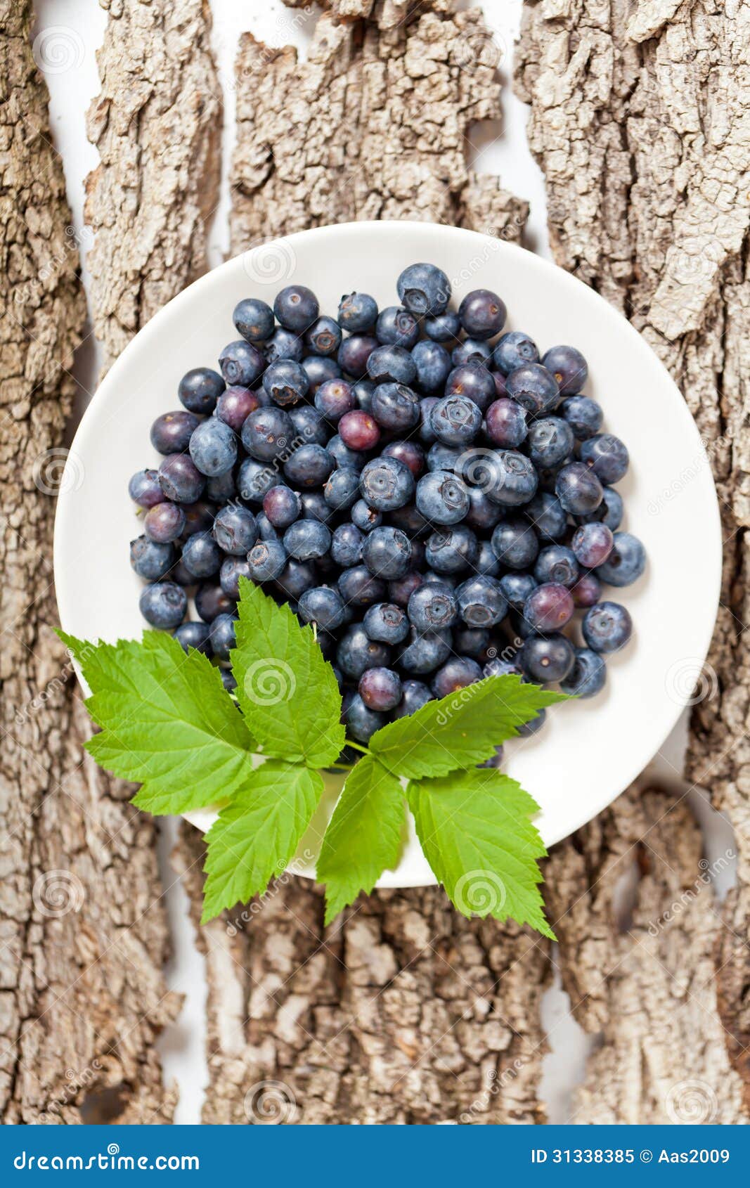 Blueberries in Small Bowl stock image. Image of green - 31338385