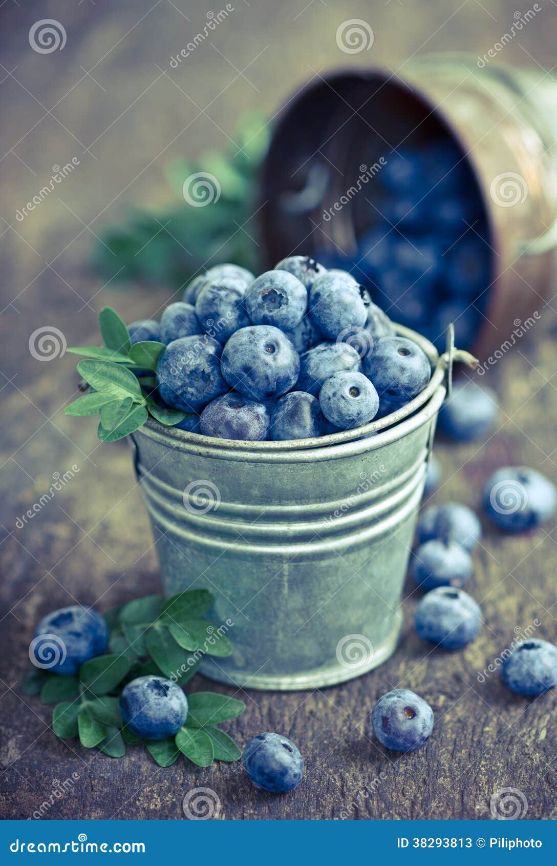 Blueberries in the Small Bucket Stock Image - Image of nature, healthy ...