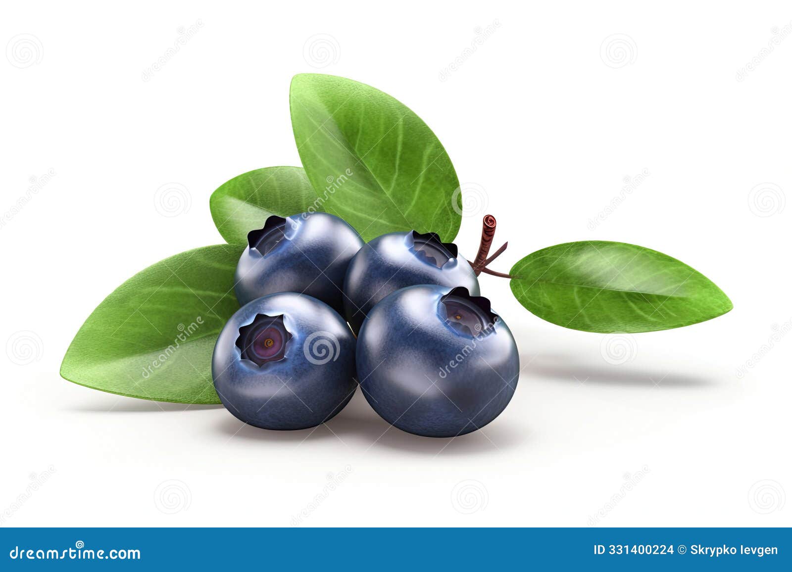 Blueberries with stem stock illustration. Illustration of vibrant ...
