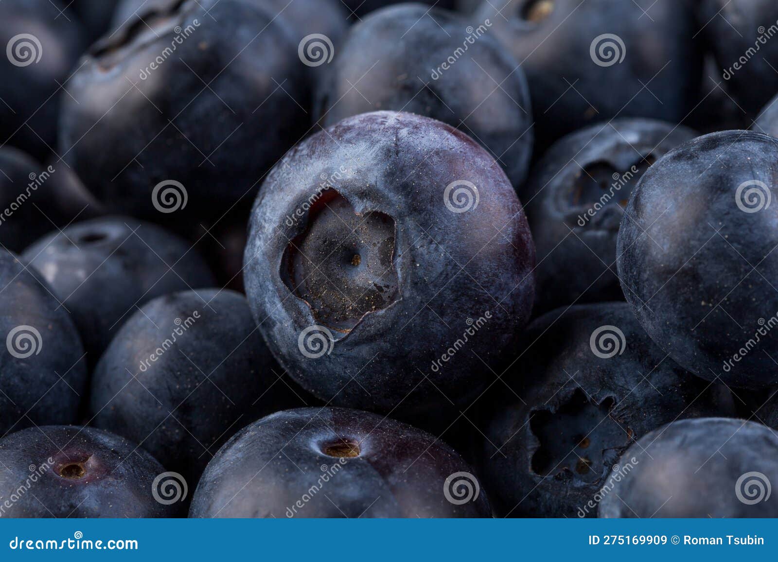 Blueberries on Stone Plate Background Stock Image - Image of group ...
