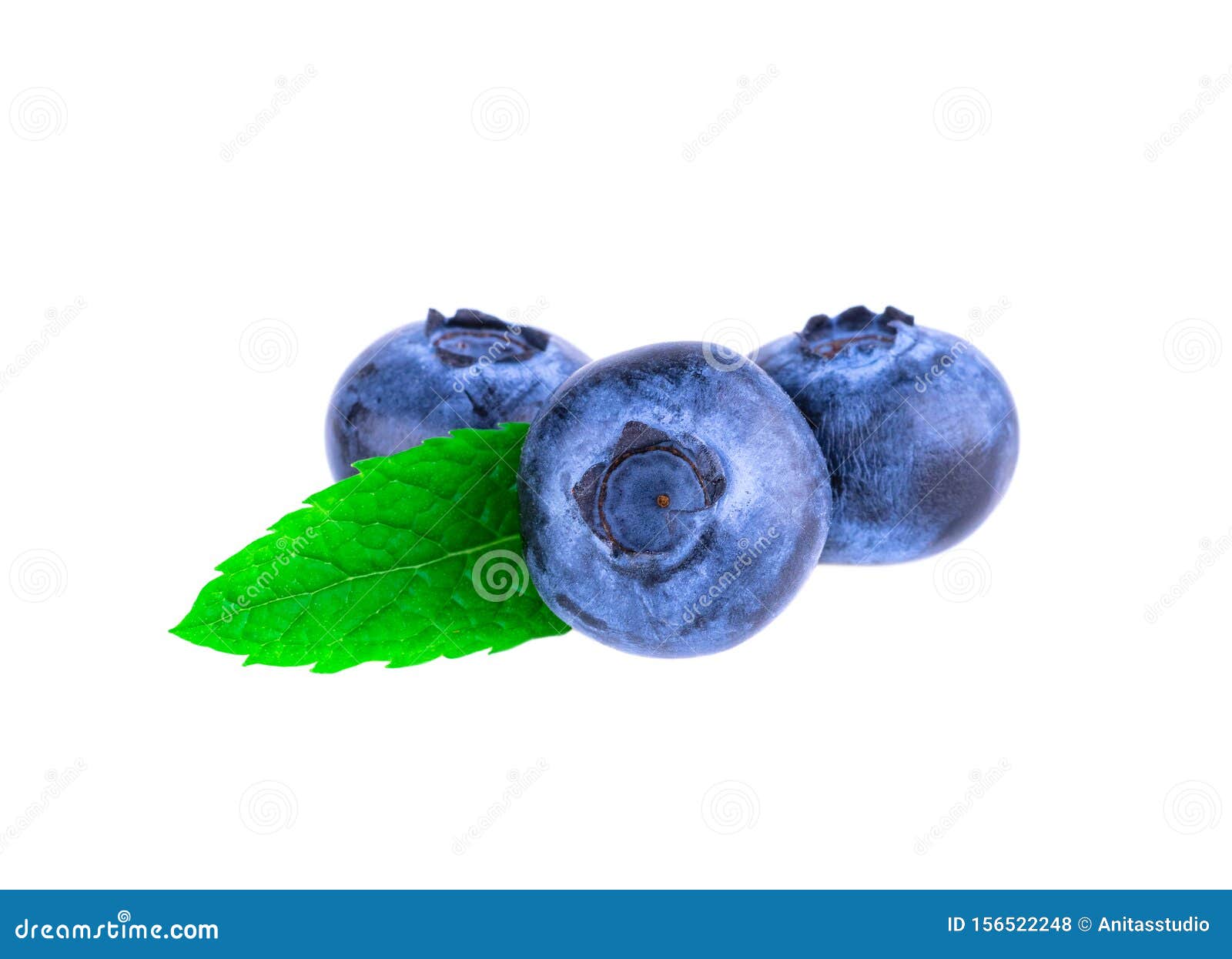 Blueberries Three Fresh Blueberry Isolated on White Background Stock ...