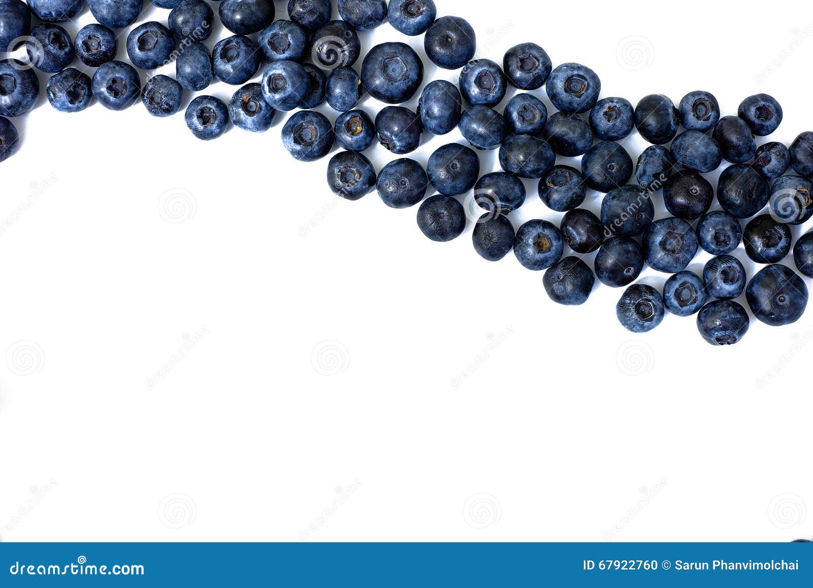 Blueberries top line curve stock photo. Image of juicy - 67922760