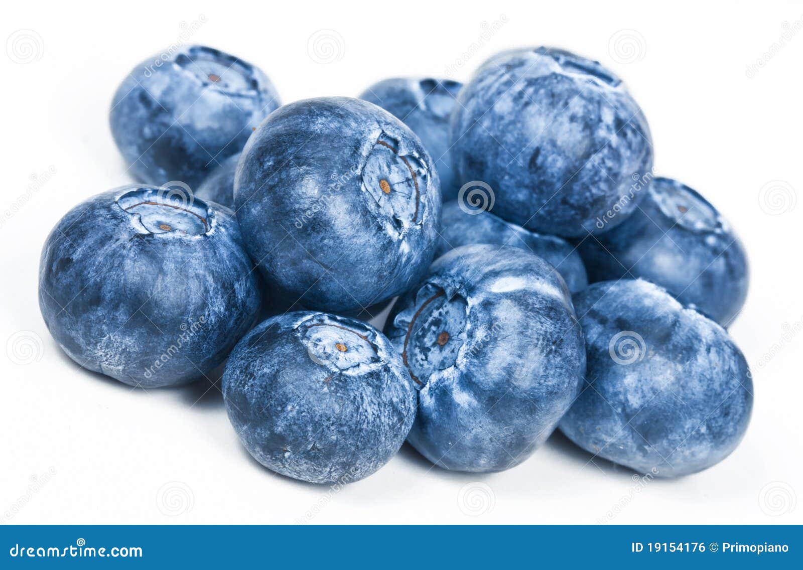 Blueberries on White Background Stock Photo - Image of bilberry, ripe ...