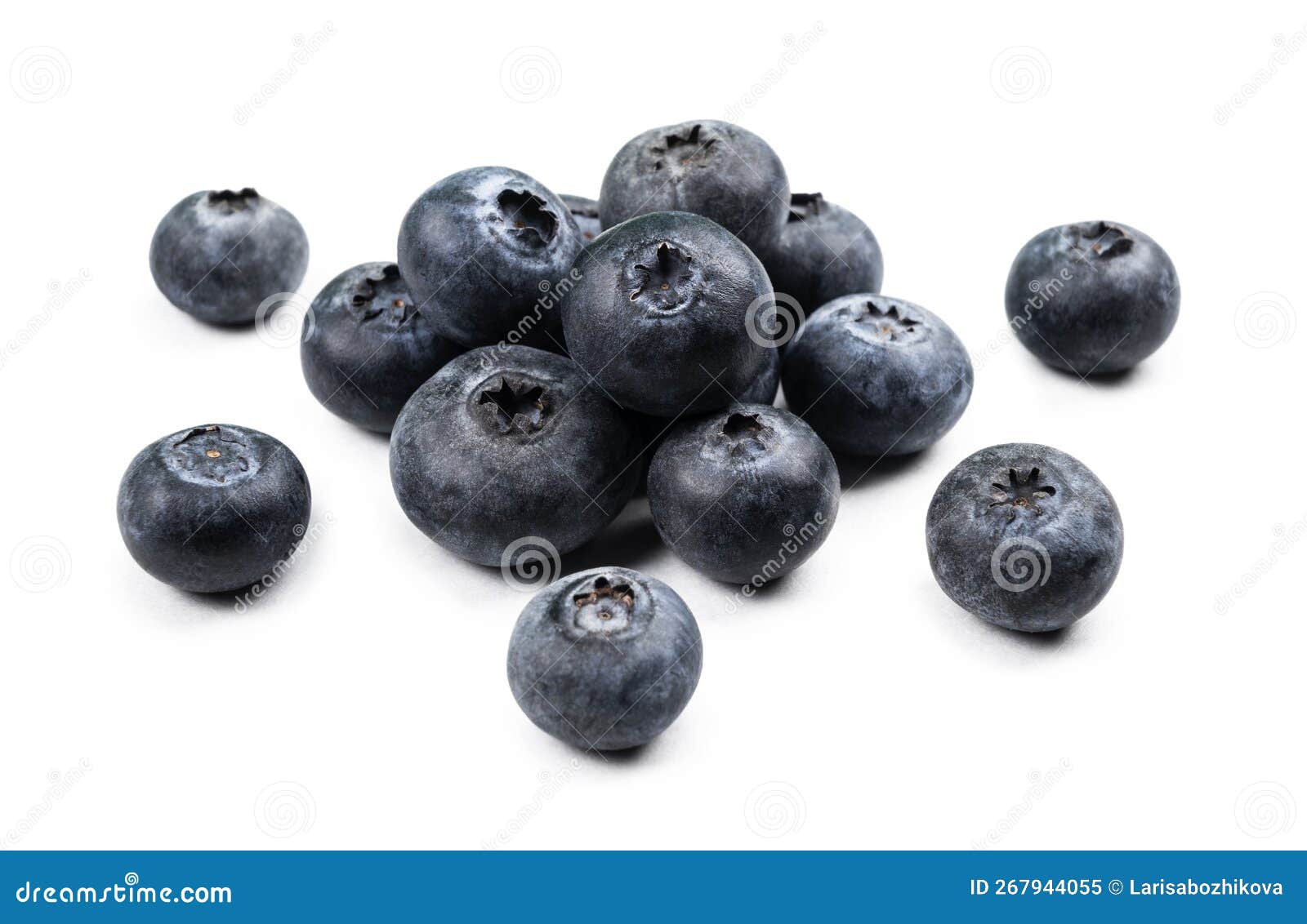Blueberries on White Background Stock Image - Image of wild ...