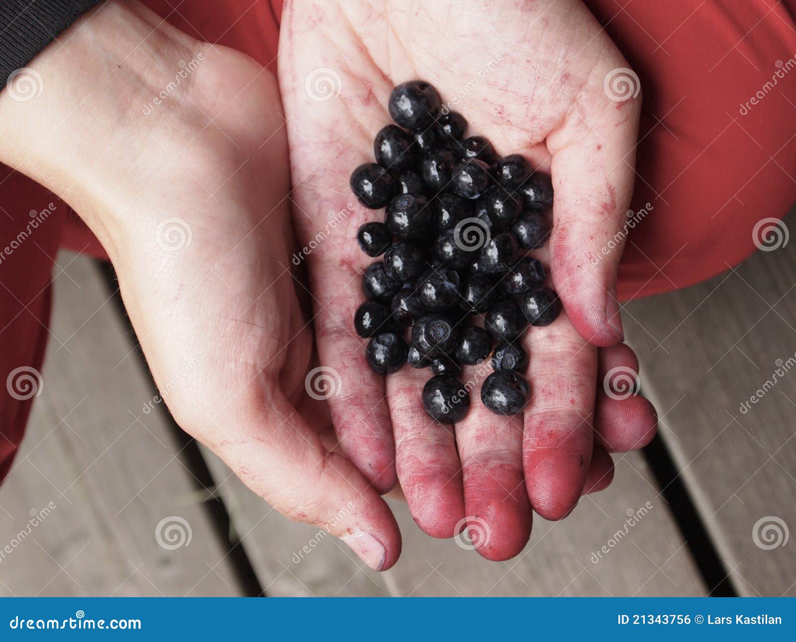 Blueberriew stock photo. Image of fingers, finger, hand - 21343756