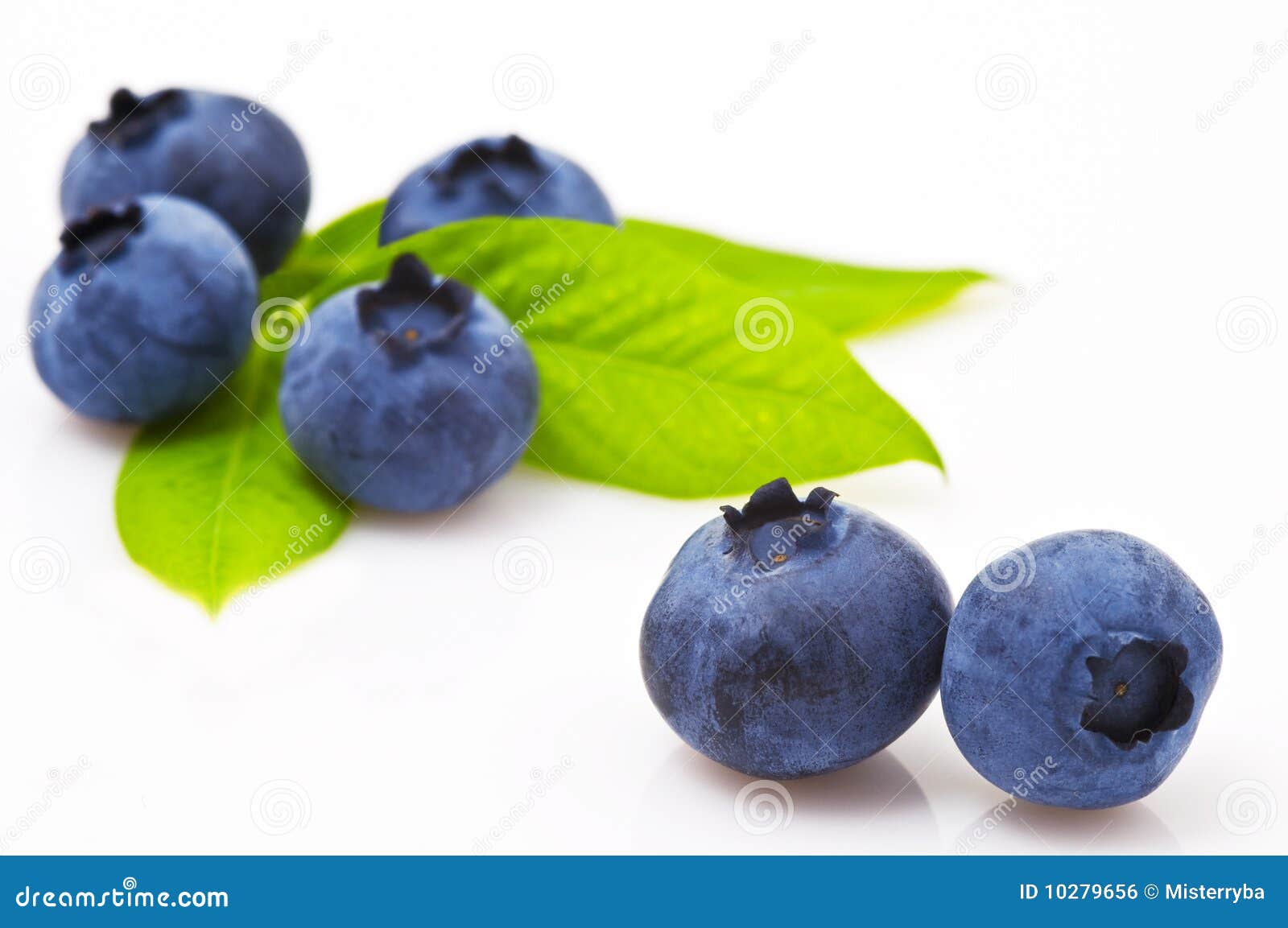 Blueberry stock photo. Image of group, sweet, fruit, healthy - 10279656