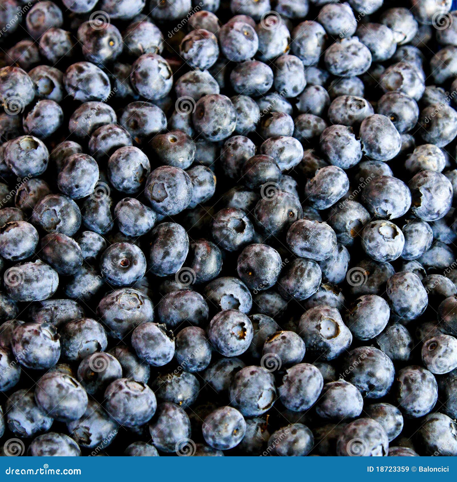 Blueberry stock image. Image of blueberries, organic - 18723359