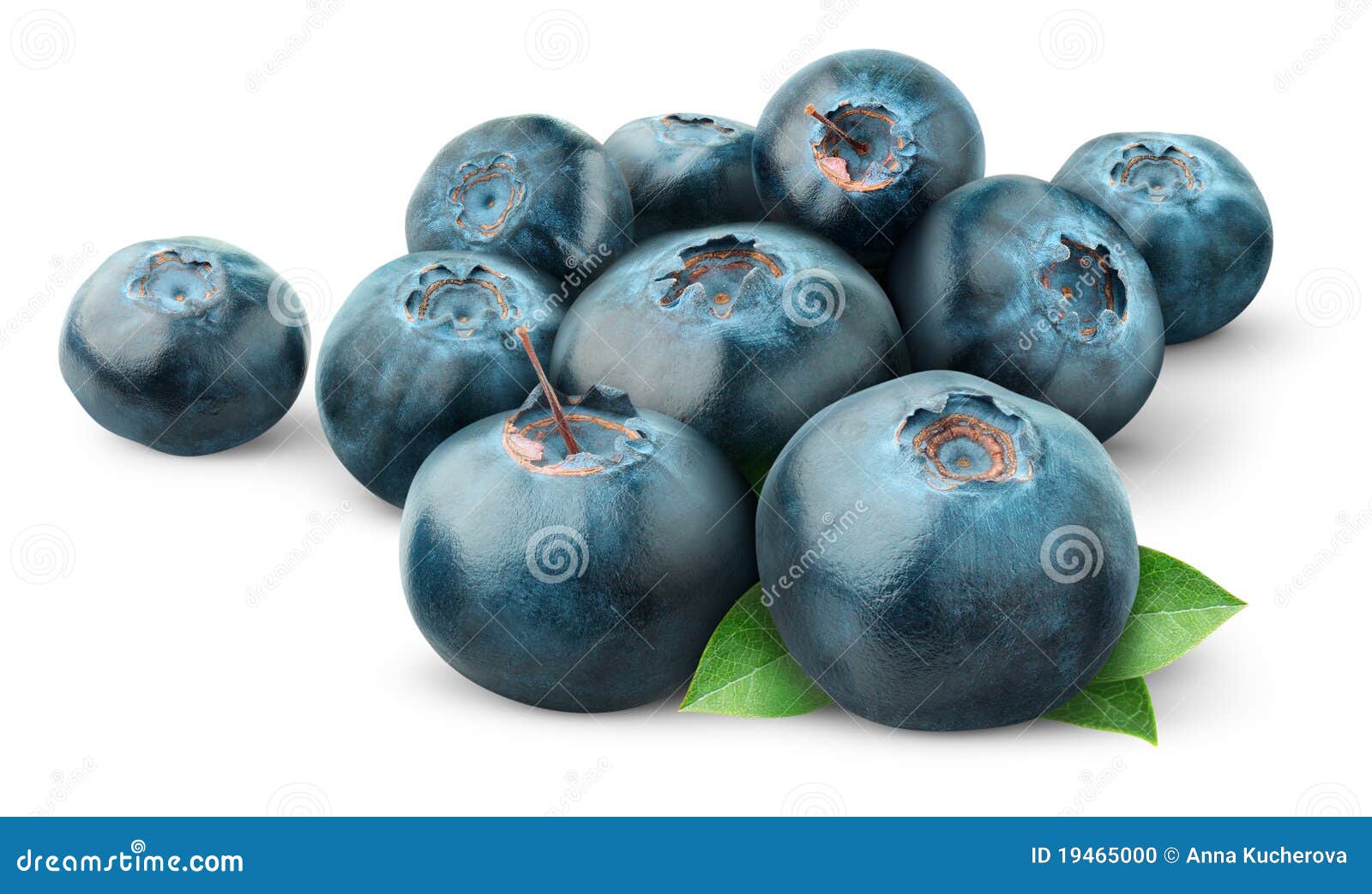 Isolated blueberries stock photo. Image of bunch, refreshing - 19465000