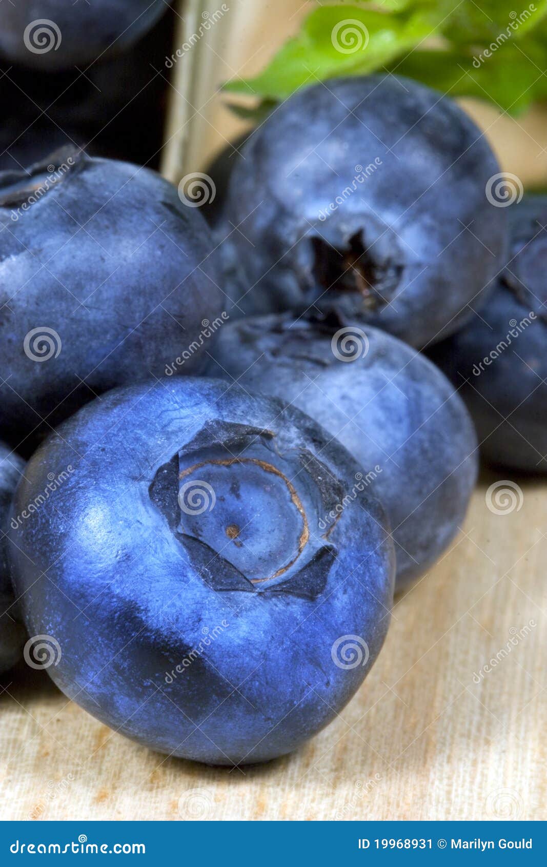 Blueberry stock image. Image of fruit, healthy, agriculture - 19968931