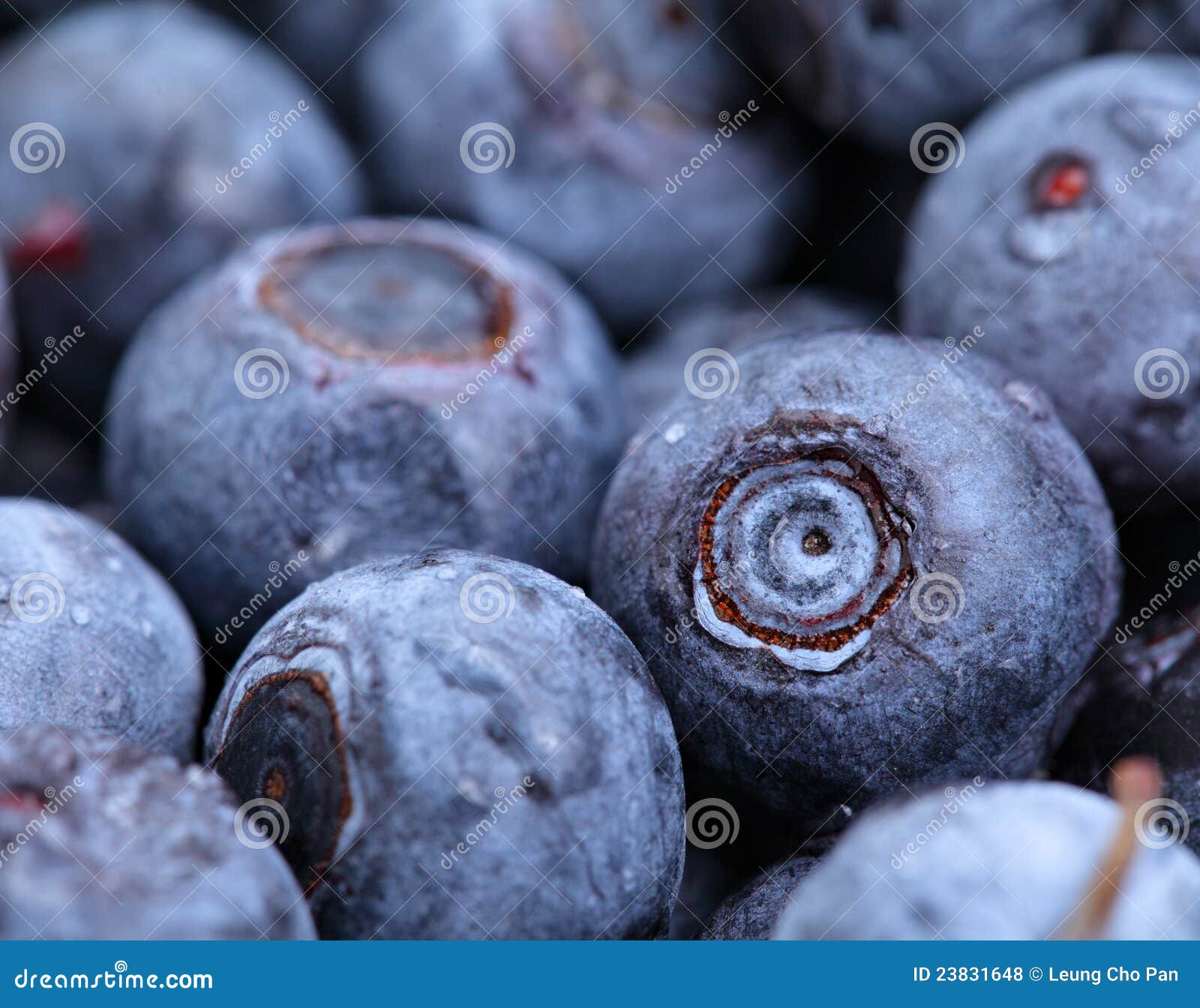 Blueberry stock photo. Image of cultivated, lots, freshness - 23831648