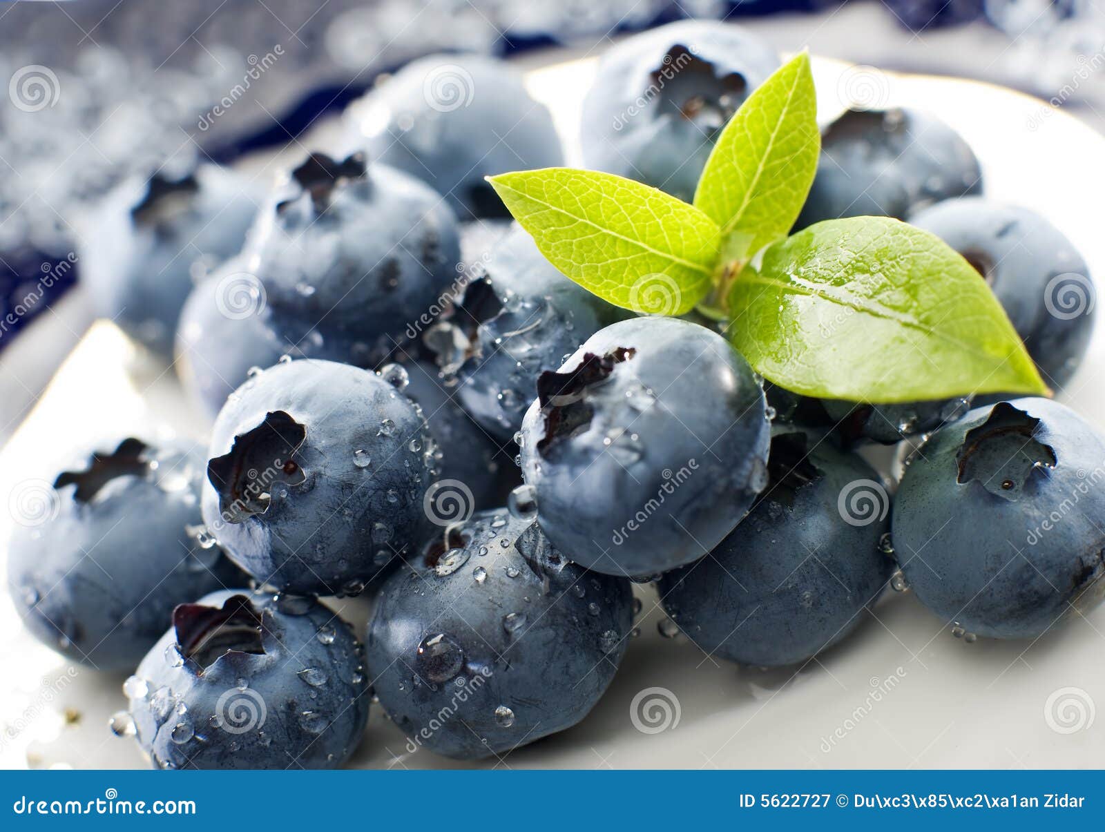 Blueberry stock image. Image of healthy, blueberry, organic - 5622727