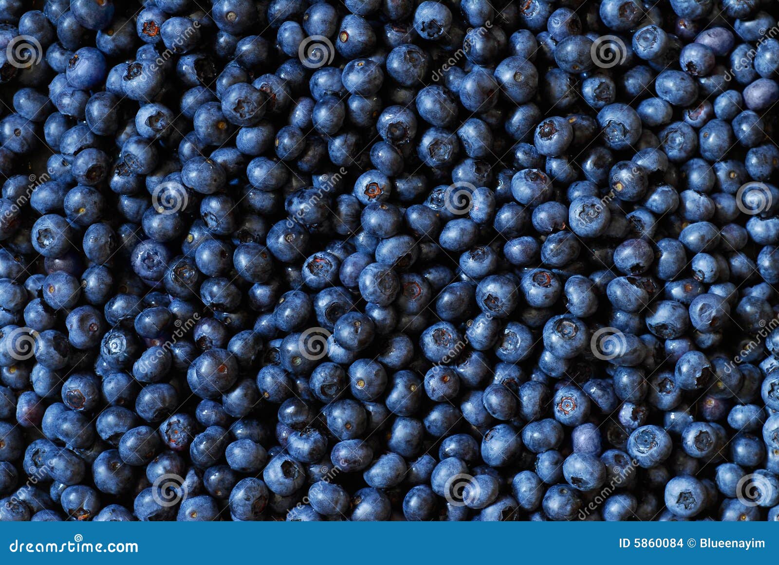 Blueberry Background stock photo. Image of diet, nutrition - 5860084