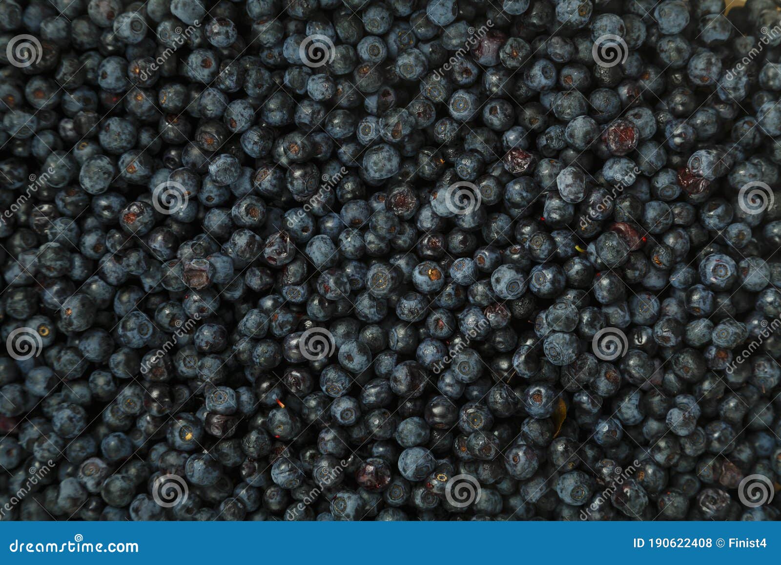 Blueberry Berries Scattered on a Smooth Turn. Stock Photo - Image of ...